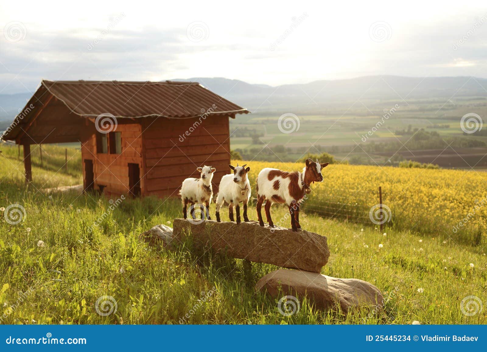 A Small Farm With Traditional Svanetian Towers On The Background Of A ...