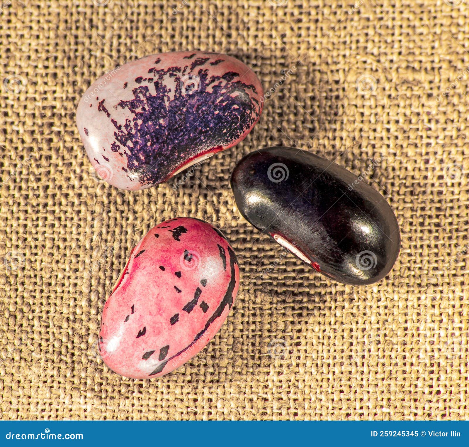 Three Grains of Multi-colored Beans Close-up Top View Stock Image ...