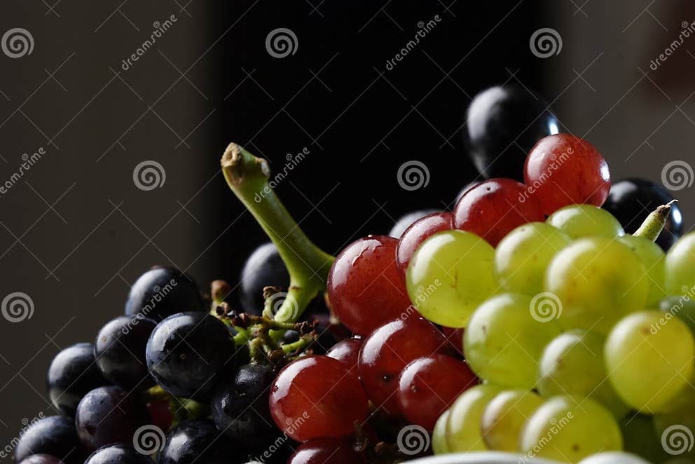Three grape varieties stock photo. Image of juicy, healthy - 3088314