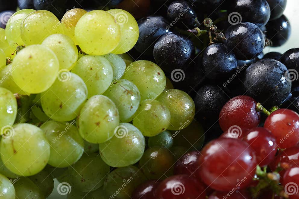 Three grape varieties stock photo. Image of varietes, vine - 3088350