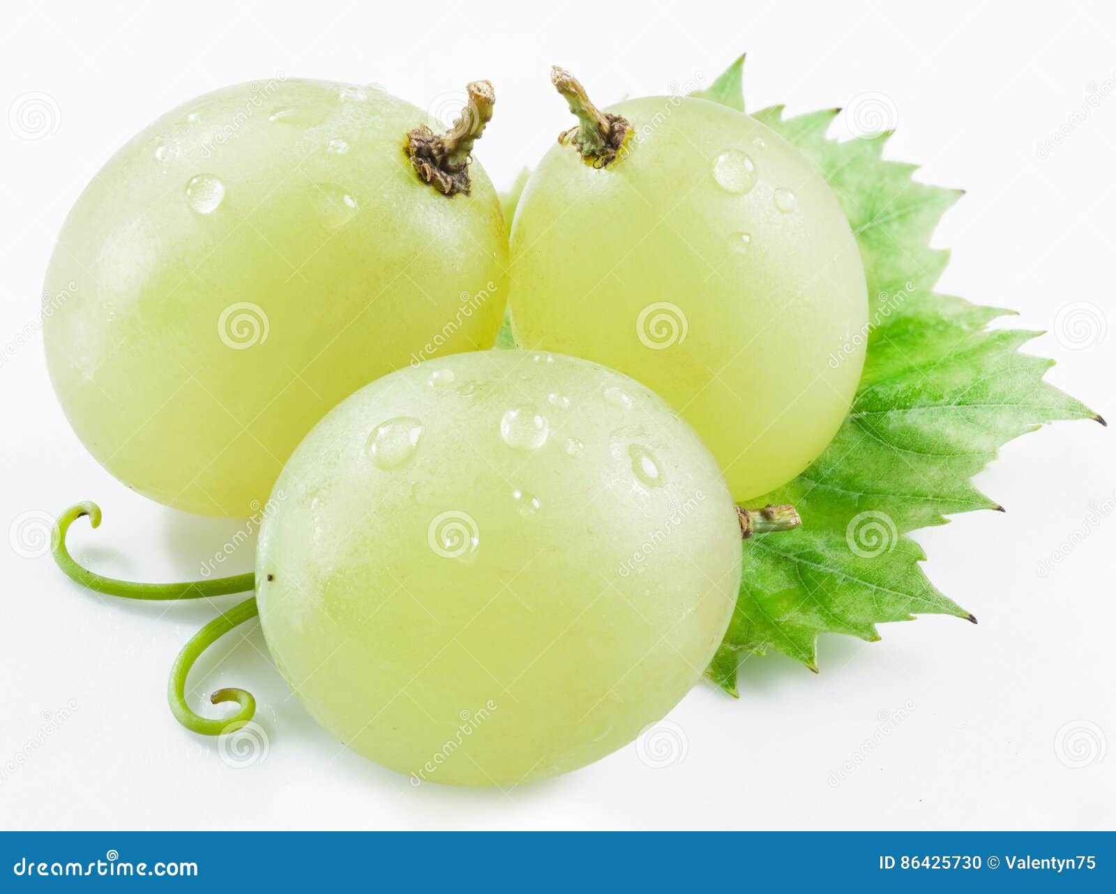 Three Grapes With Small Leaf. Stock Photo - Image of grapes, fruit ...