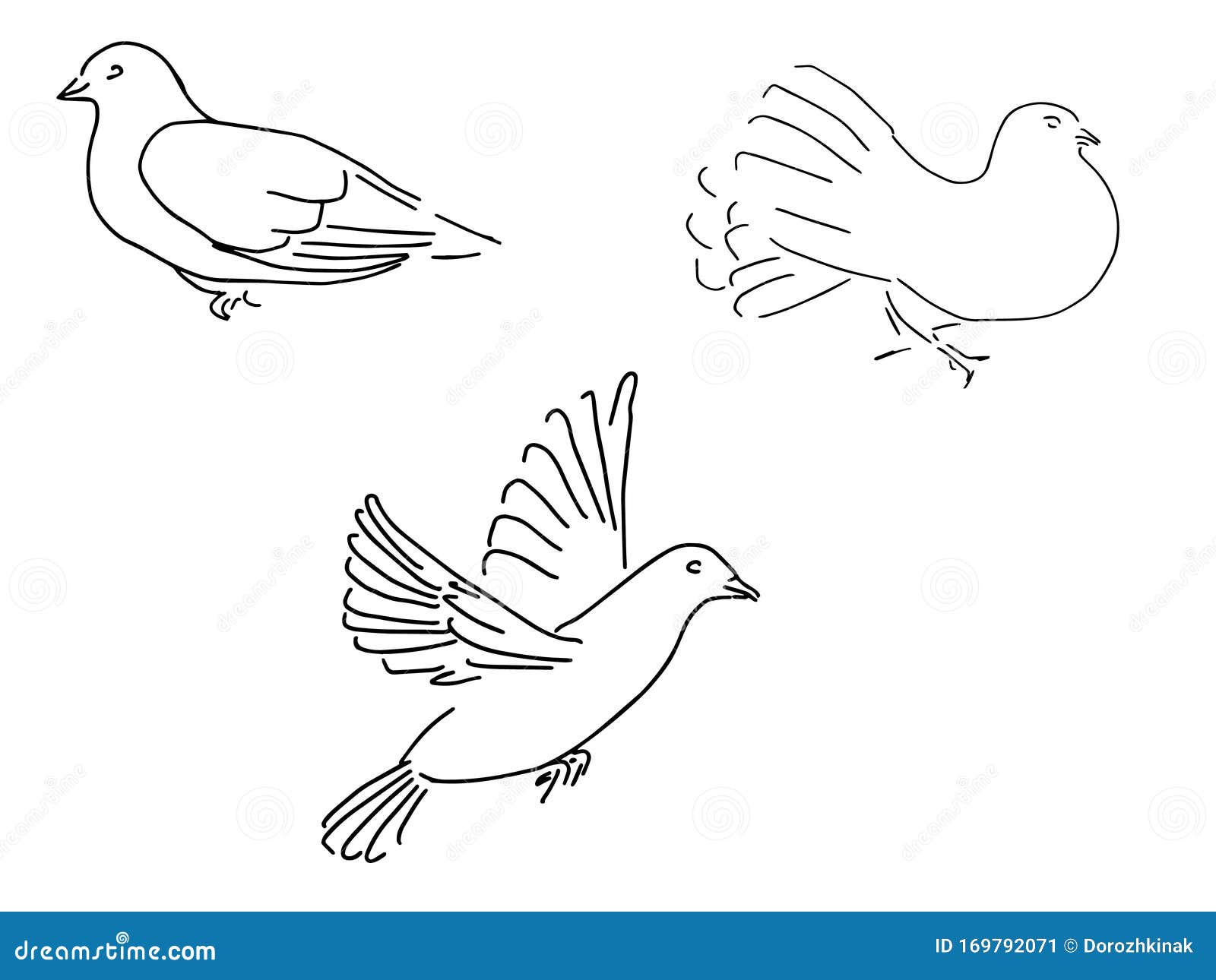 Three Graphic Doves in Different Position Stock Vector - Illustration ...