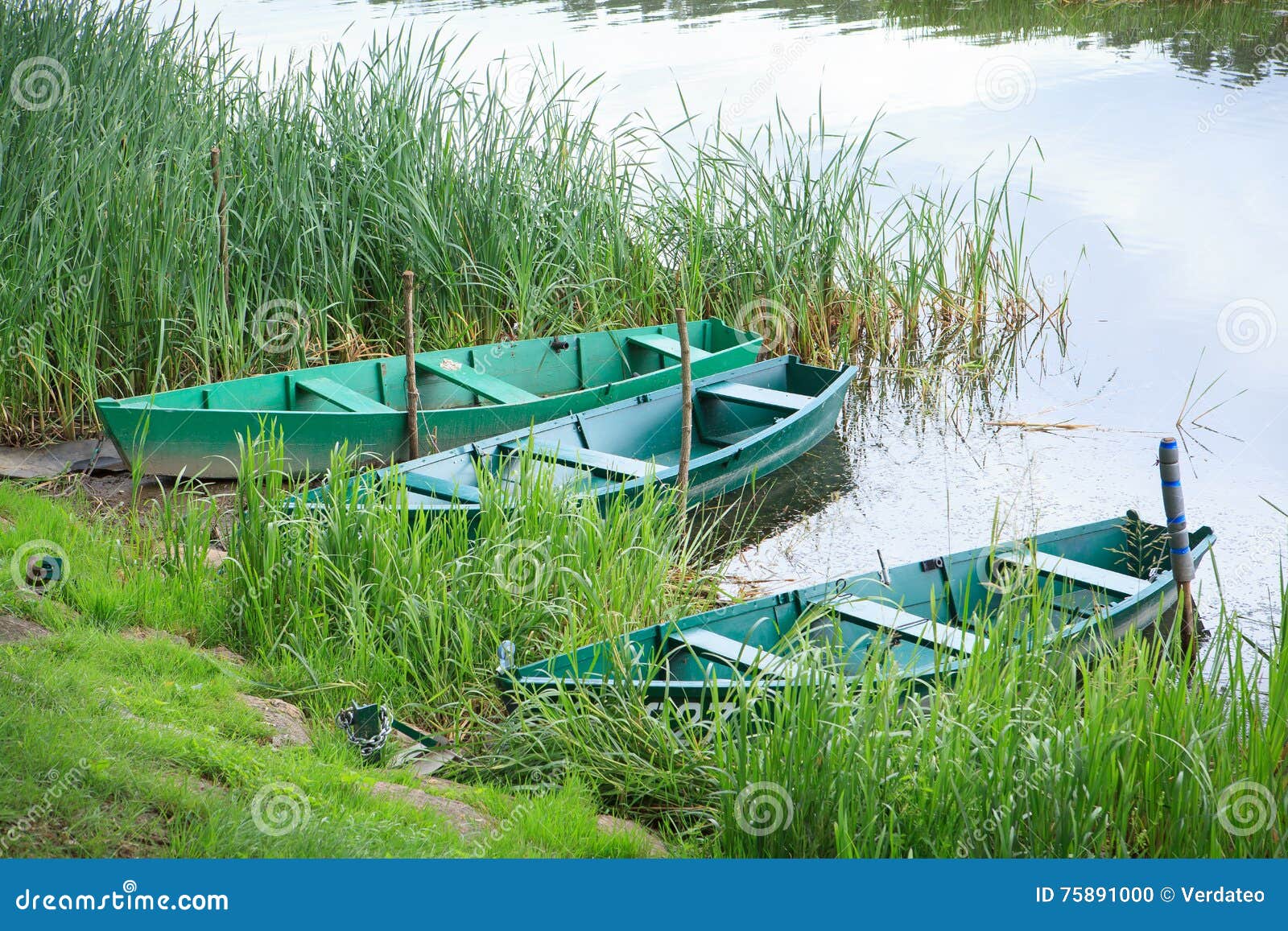 Three Green Chained Rowing Boats Stock Photo - Image of grass, rowing ...