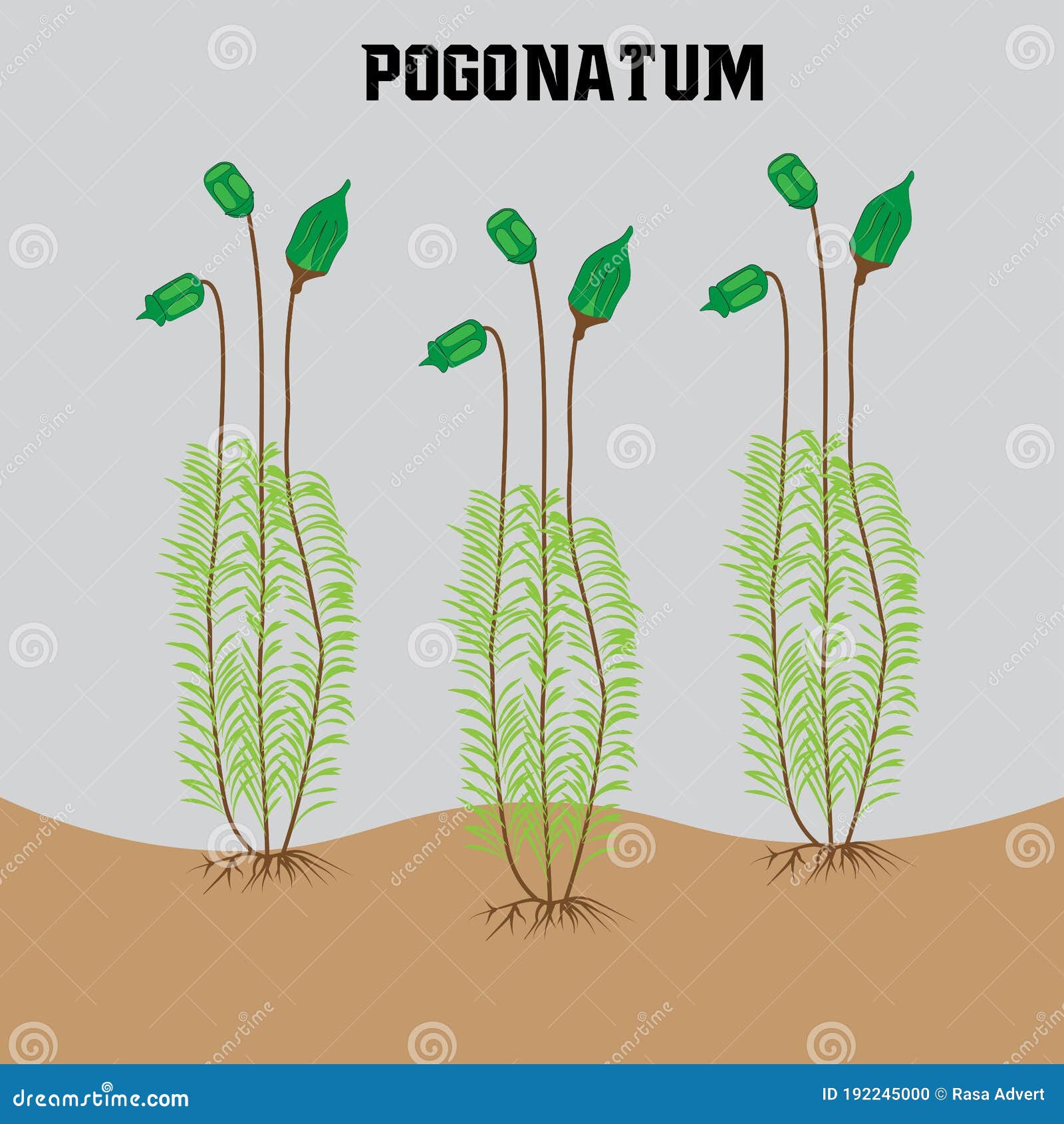Three Green Color Moses Plants on the Brown Floor Stock Illustration ...