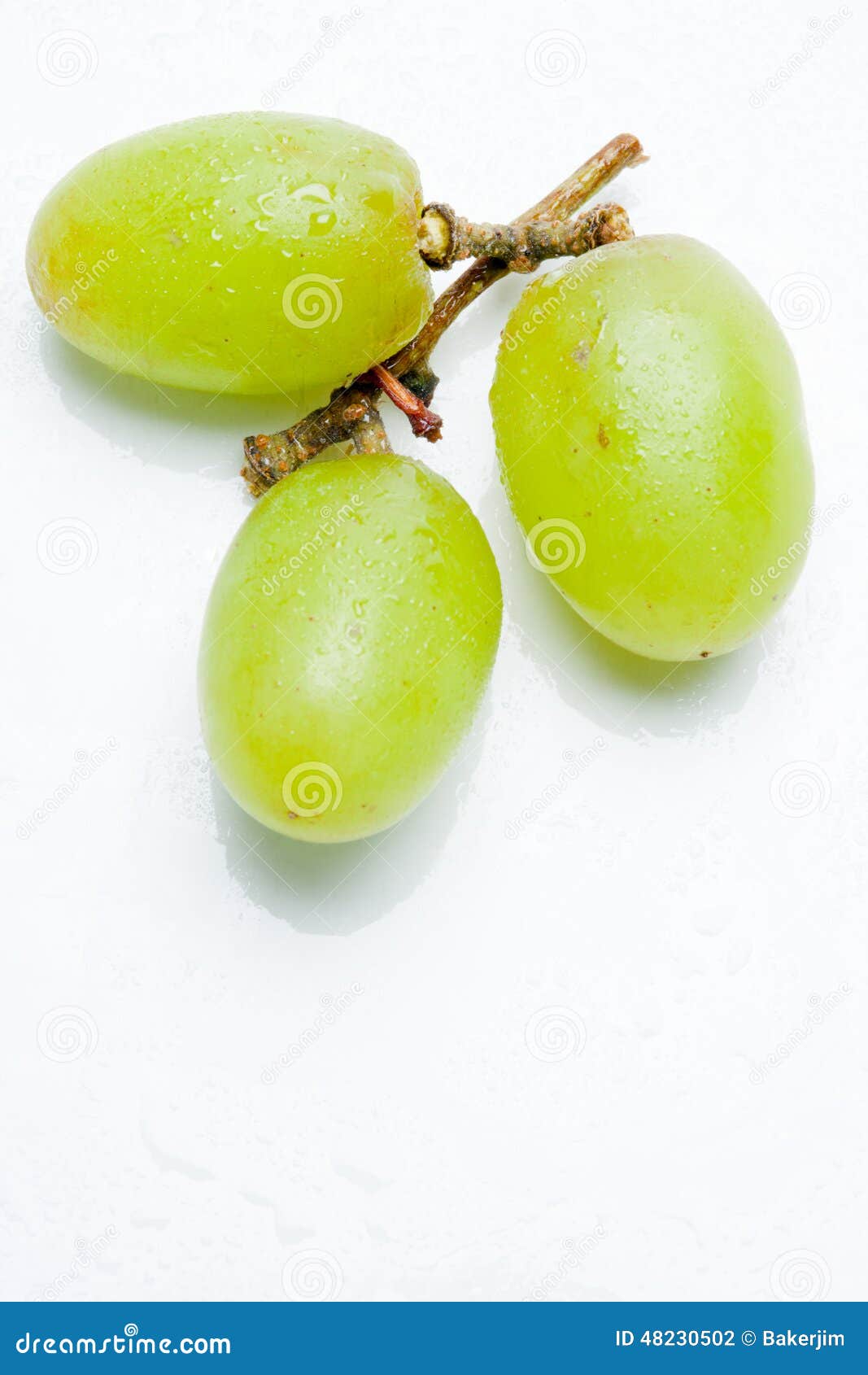 Three green grapes stock photo. Image of plants, snack - 48230502