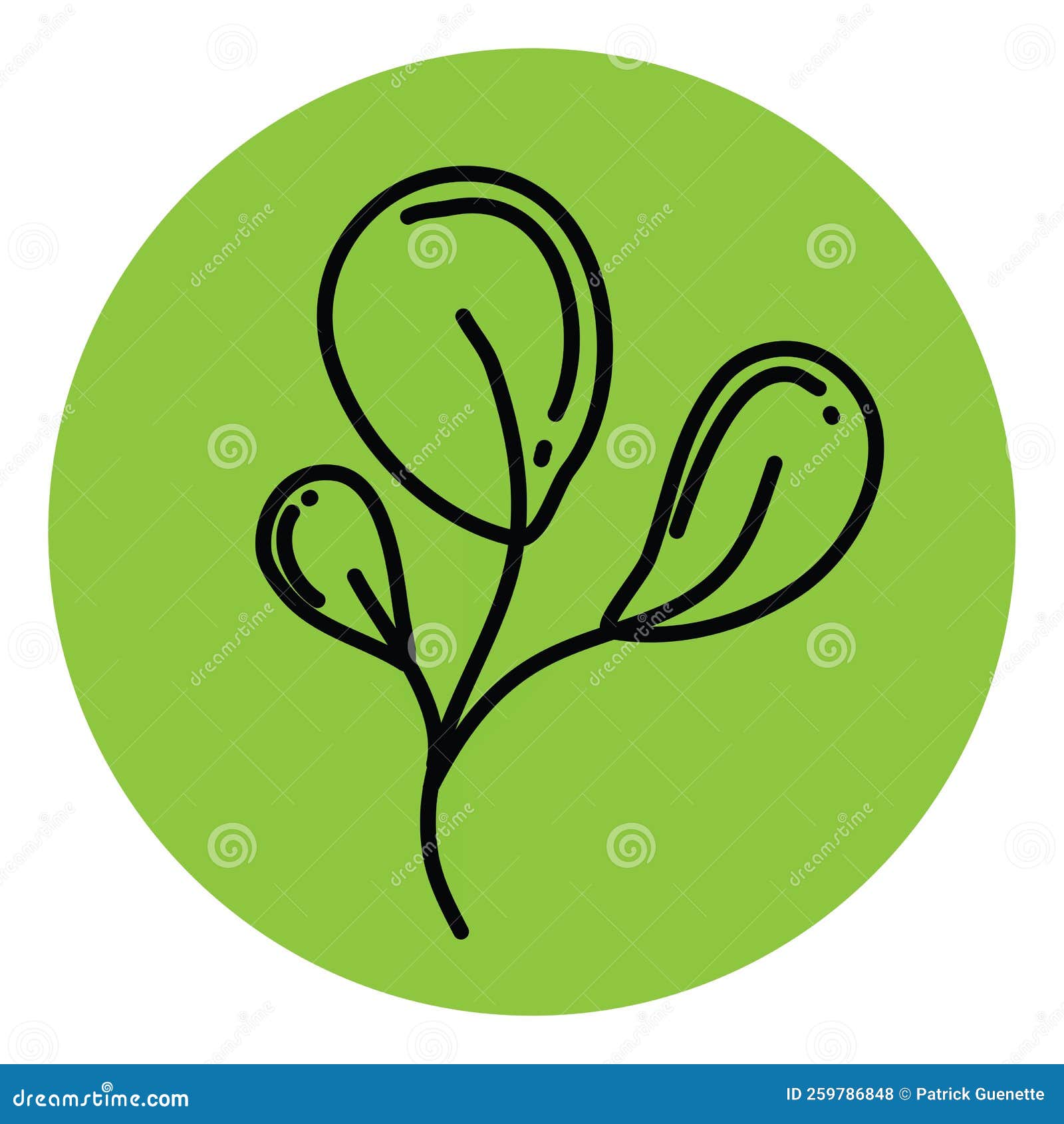 Three Green Leaves on a Branch, Icon Stock Vector - Illustration of ...