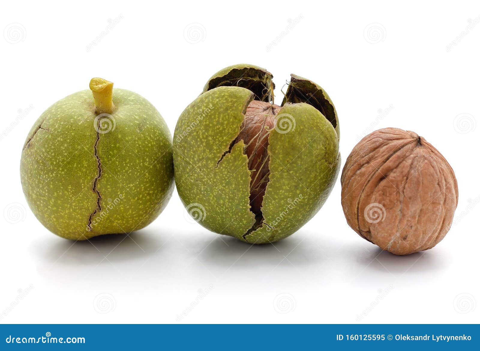 Three green nuts stock image. Image of closeup, snack - 160125595