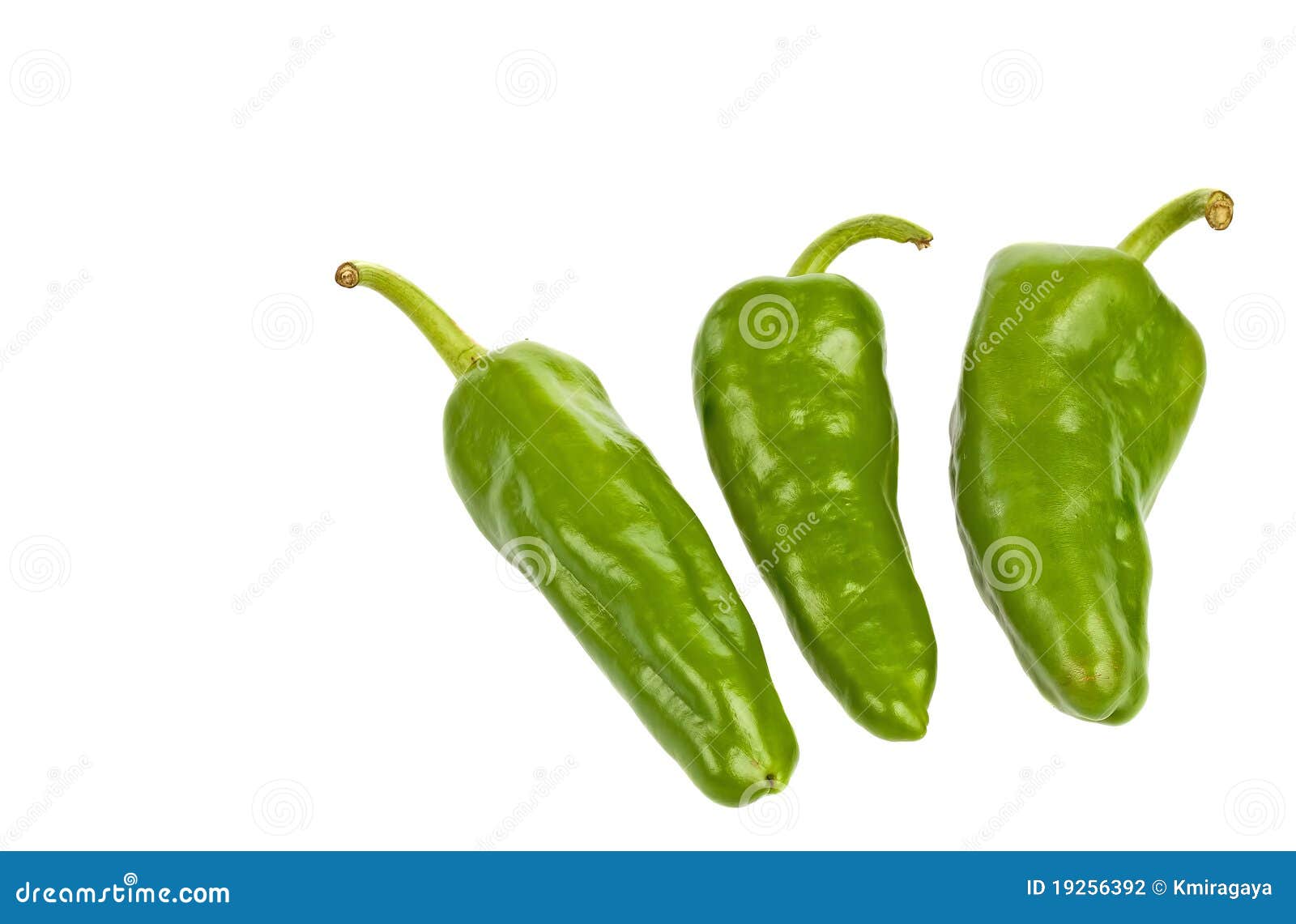 Three green peppers stock photo. Image of chili, cayenne - 19256392