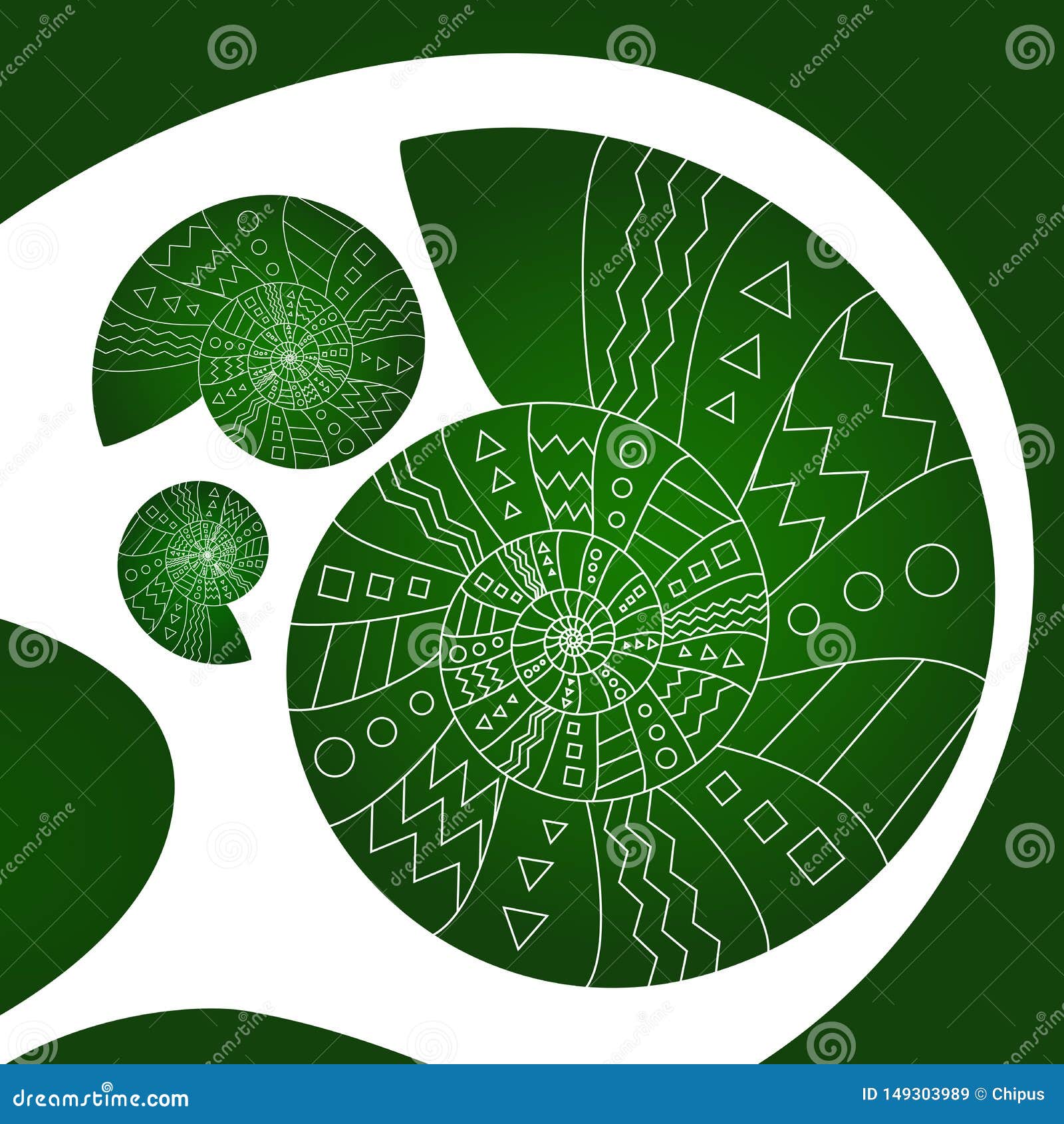 Three Green Shells with Different Sizes with Ornament. Stock Vector ...