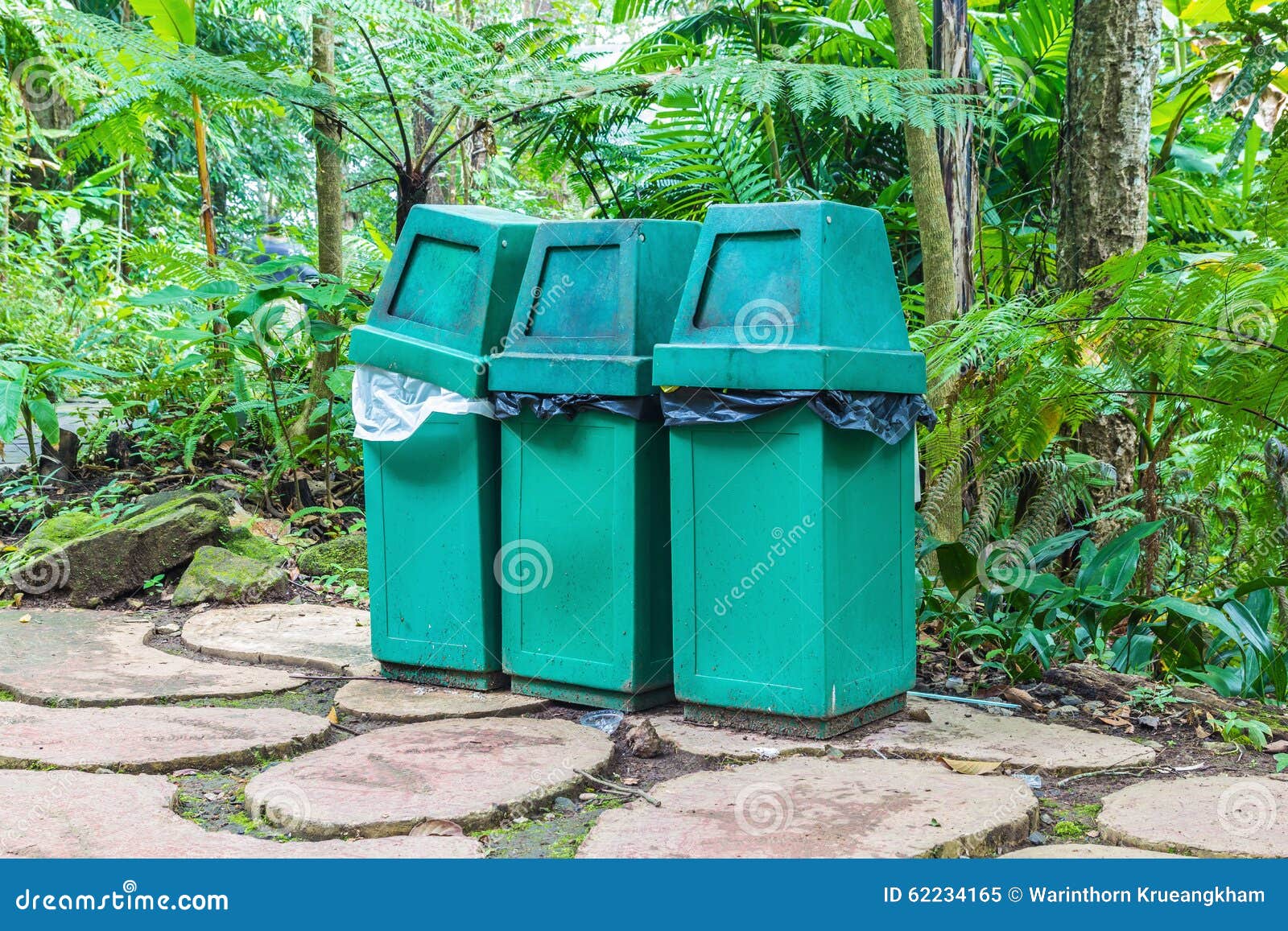 Three Green Trash Along the Garden Stock Image - Image of tree, green ...