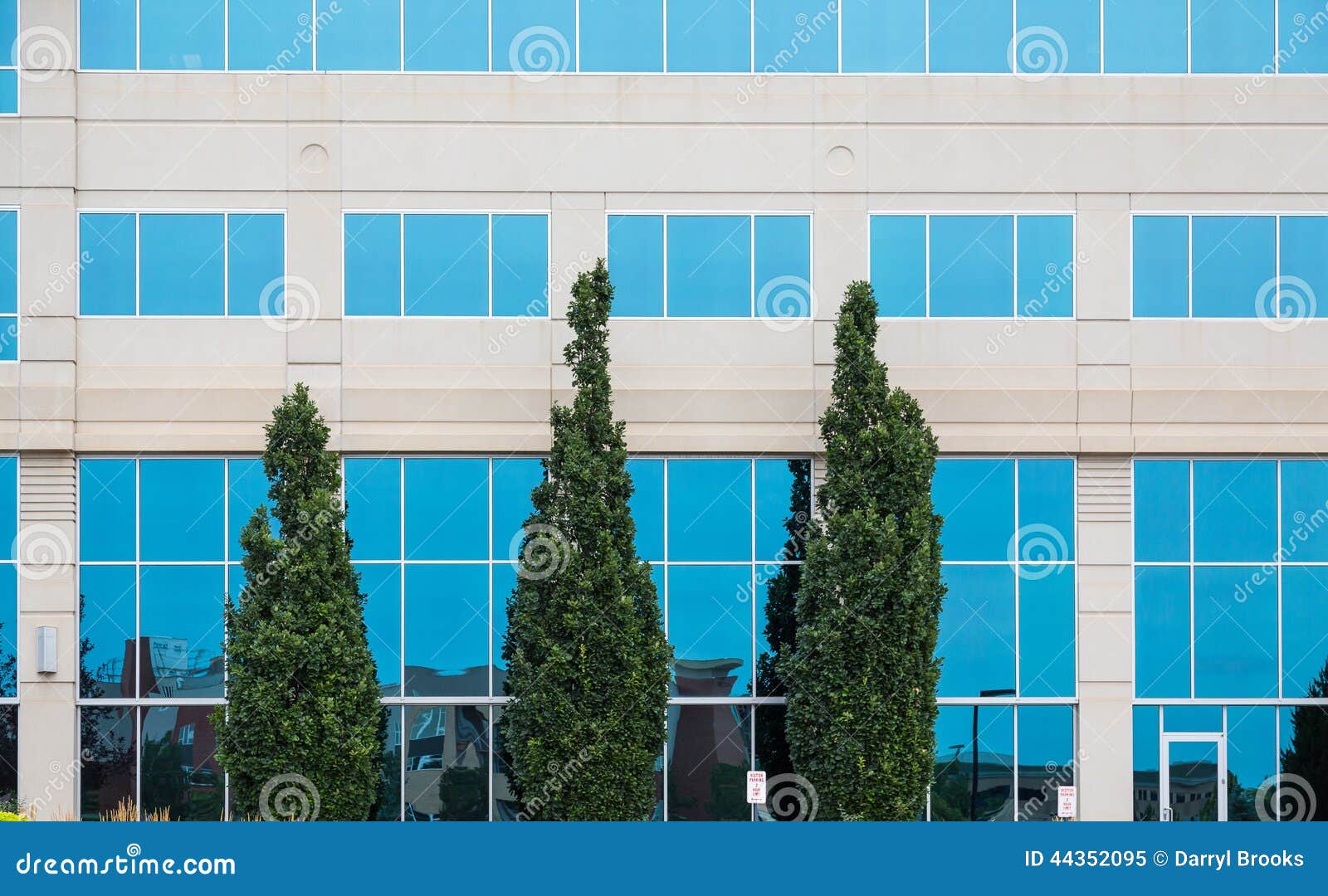Three Green Trees by Blue Windows Stock Image - Image of window ...