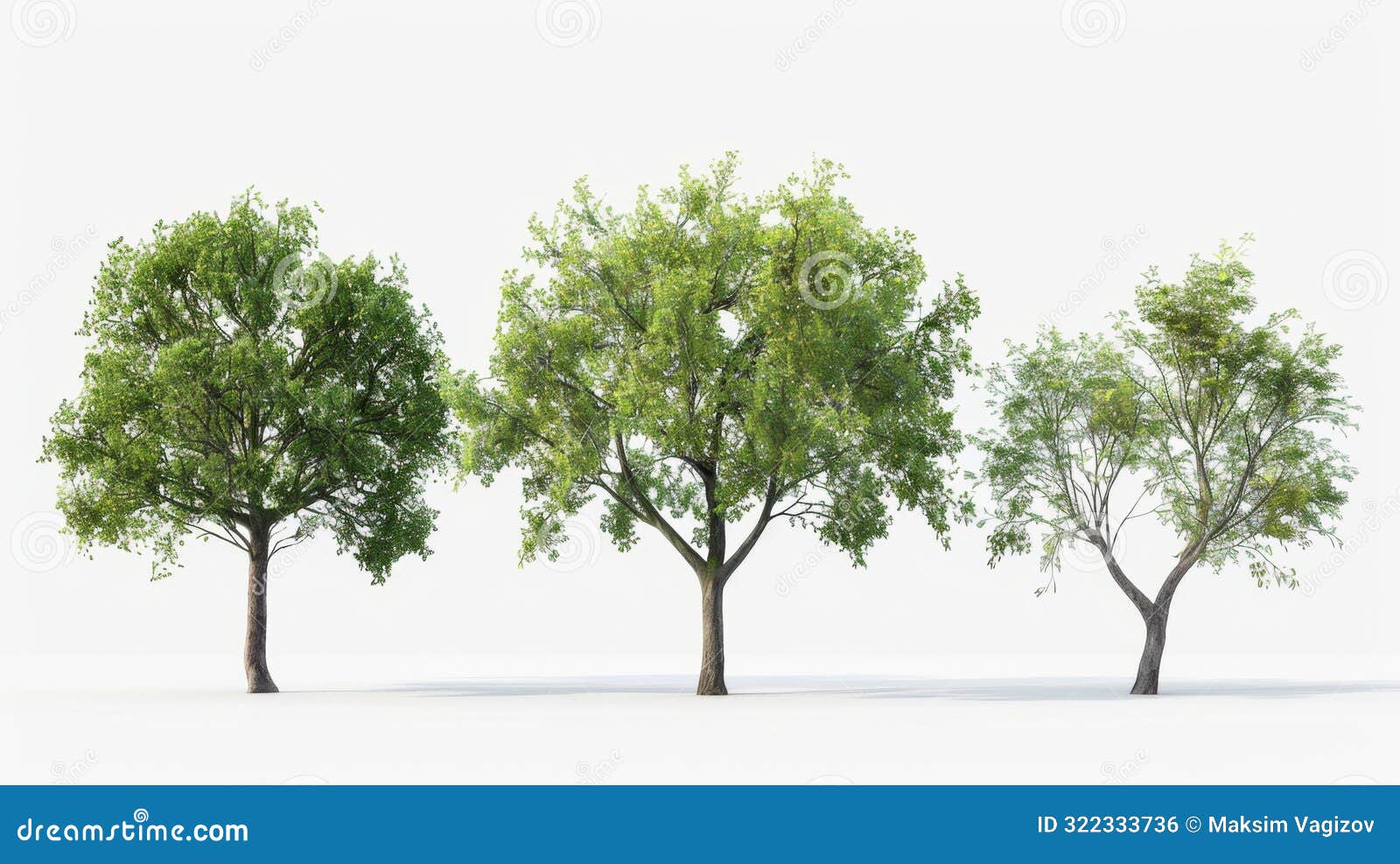 Three Green Trees Isolated on White Background, Generative AI Stock ...