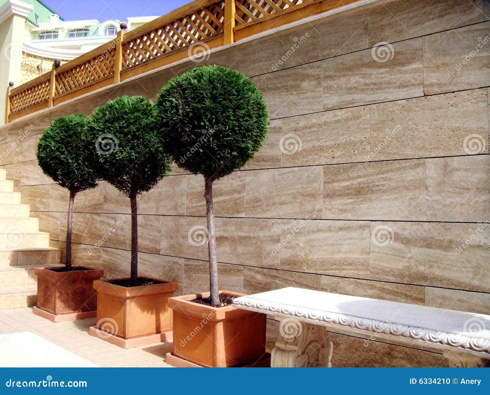 Three Green Trees. Landscape Design Stock Photo - Image of work ...