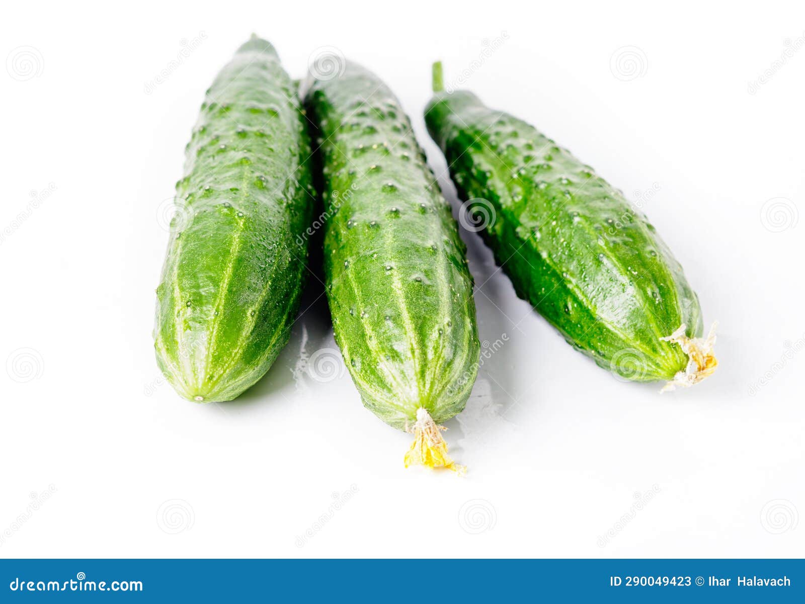 Three Ground Cucumbers on a White Background. the Concept of Healthy ...
