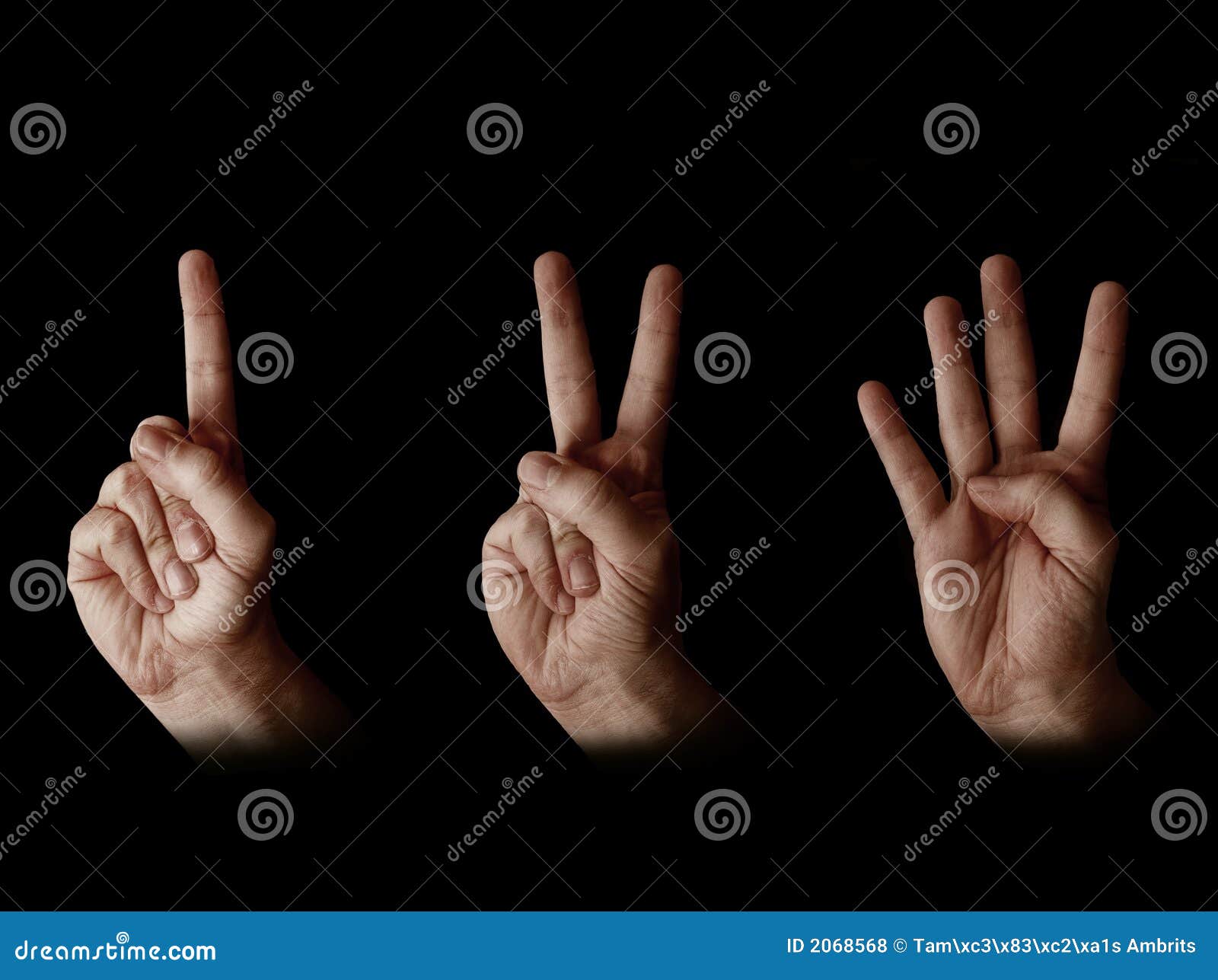 Three hands stock illustration. Illustration of show, people - 2068568