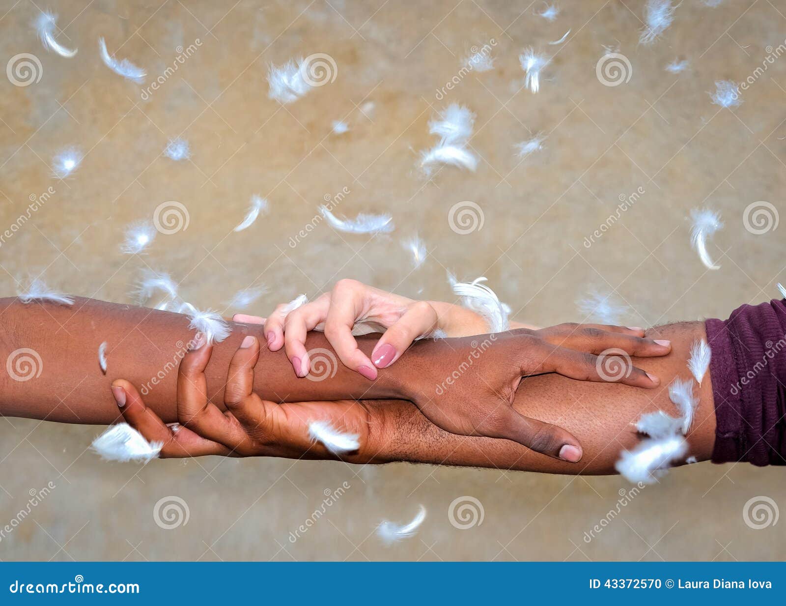 Three Hands Covered by Feathers. Stock Photo - Image of food, covered ...
