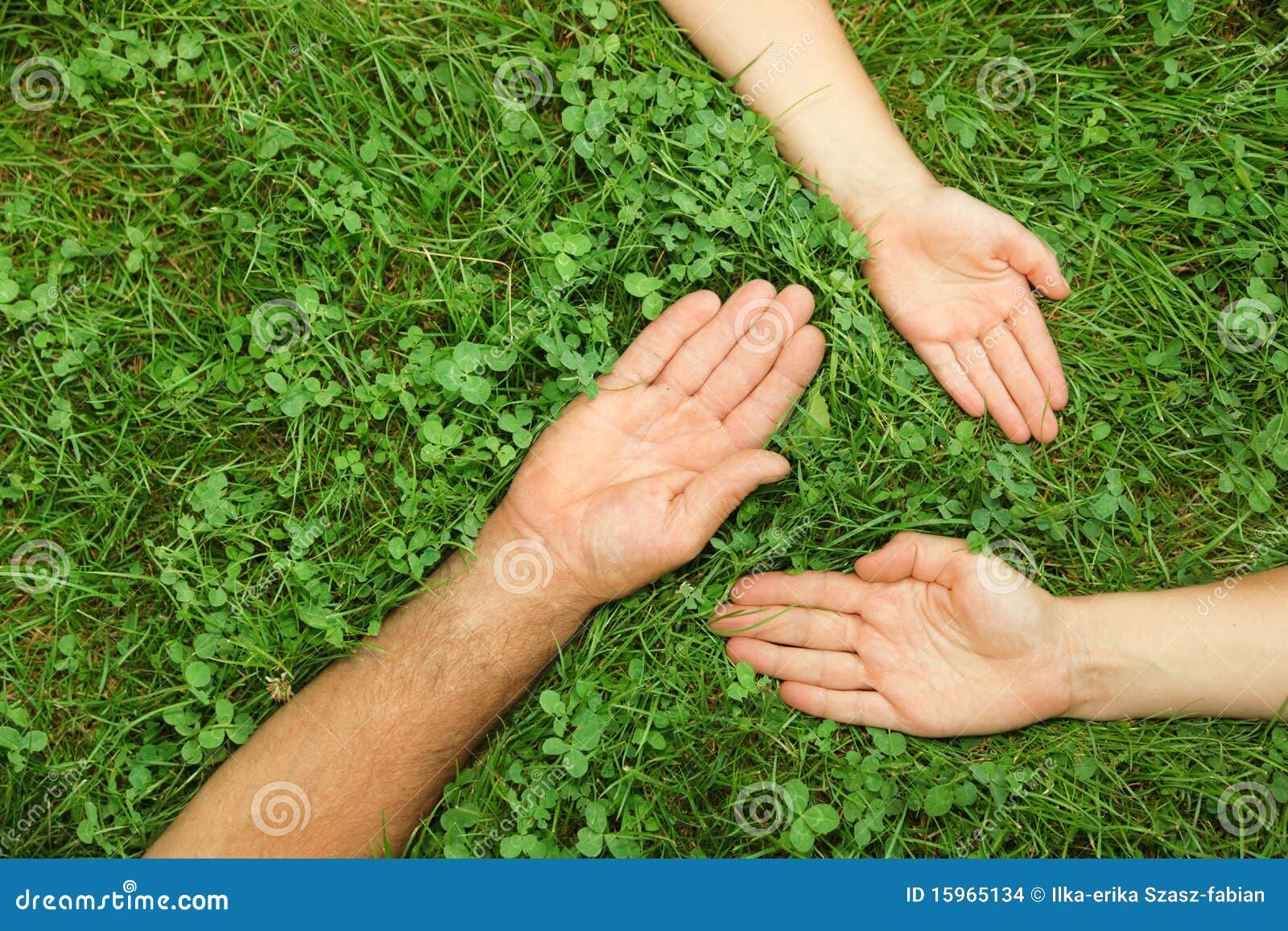 Three hands in grass stock photo. Image of cycle, green - 15965134