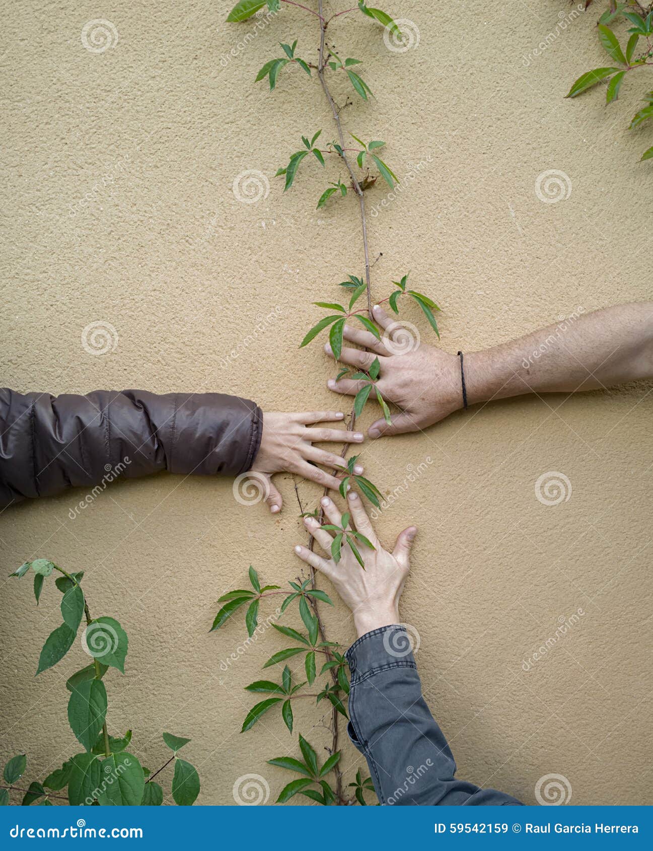 Three Hands Touching Wall Decorated with Ivy Stock Image - Image of ...