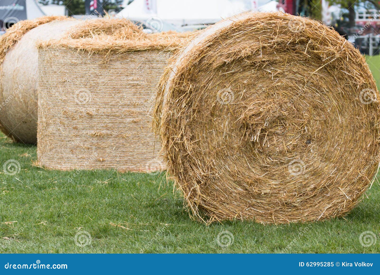 Three Hay Bales on the Grass Stock Image - Image of bale, horticulture ...