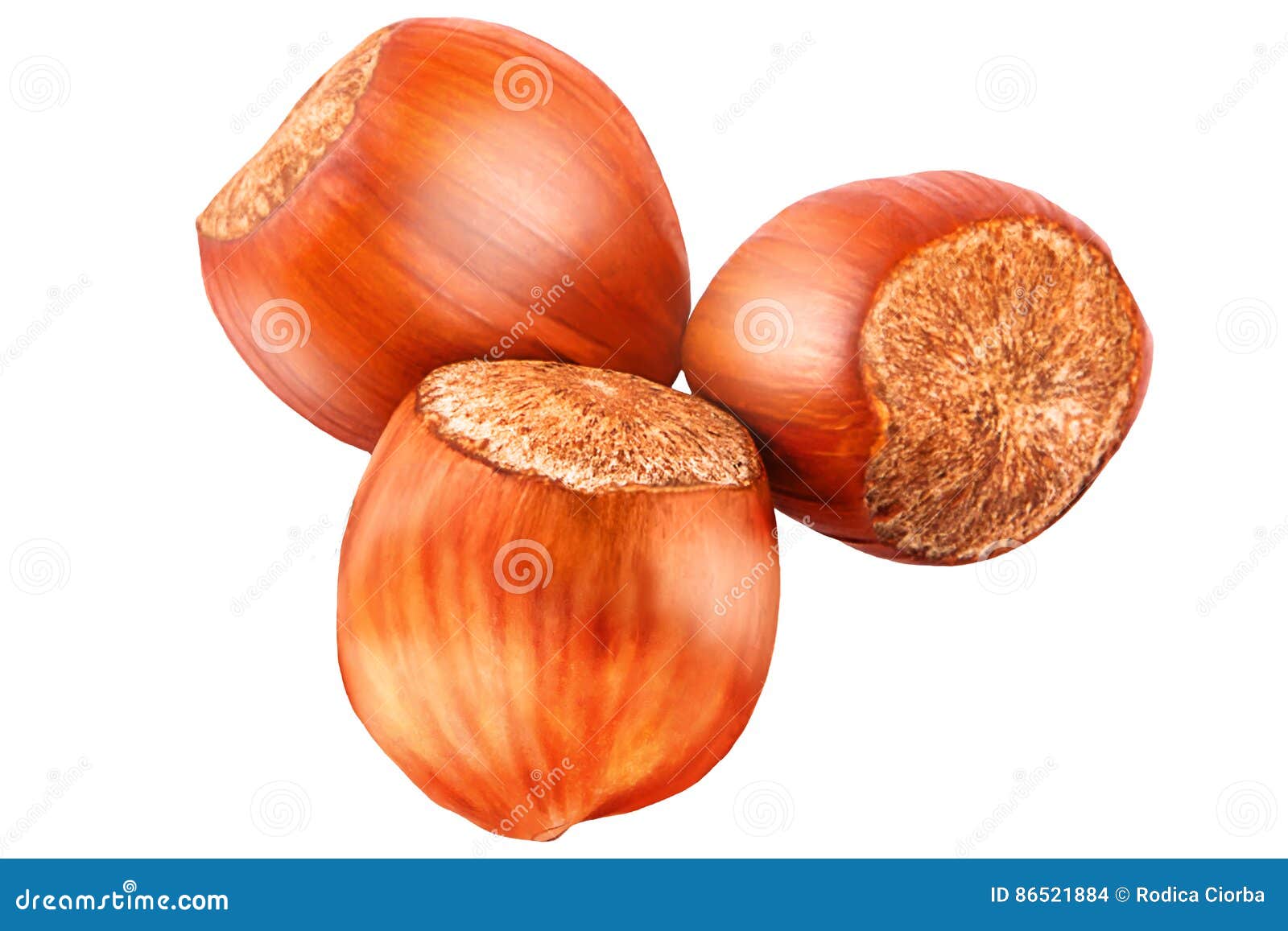 Three Hazelnut Isolated On White Background Stock Photo - Image of ...