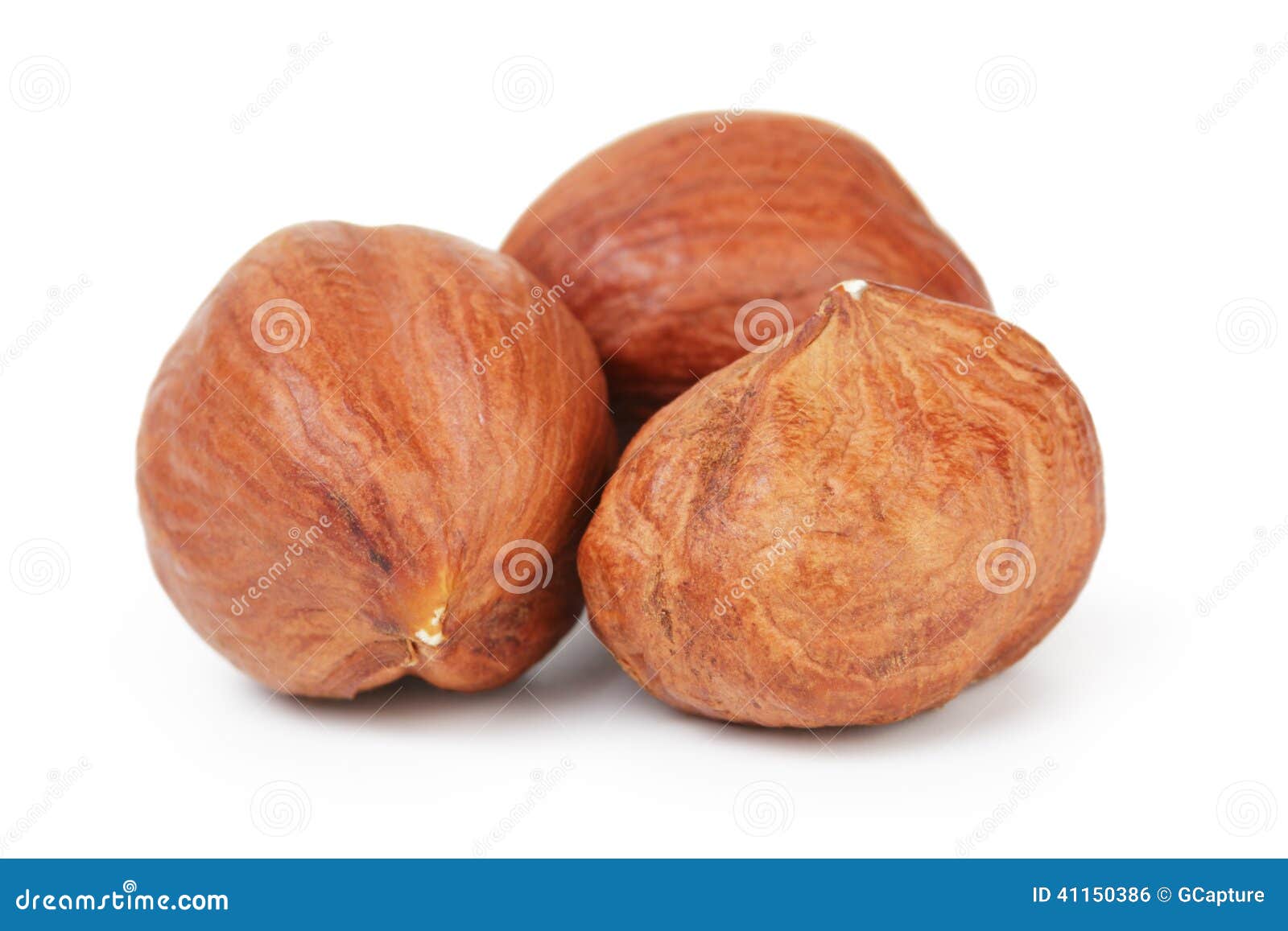 Three hazelnut kernels stock photo. Image of peeled, hazel - 41150386
