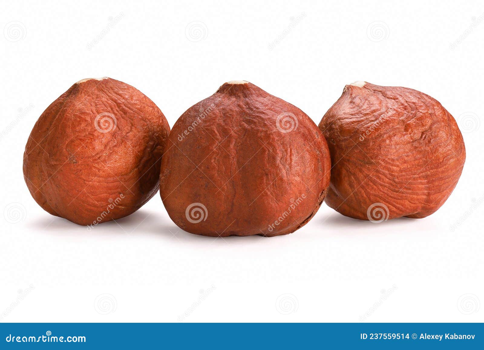 Three Hazelnuts Isolated on White Background, Close Up. Stock Photo ...