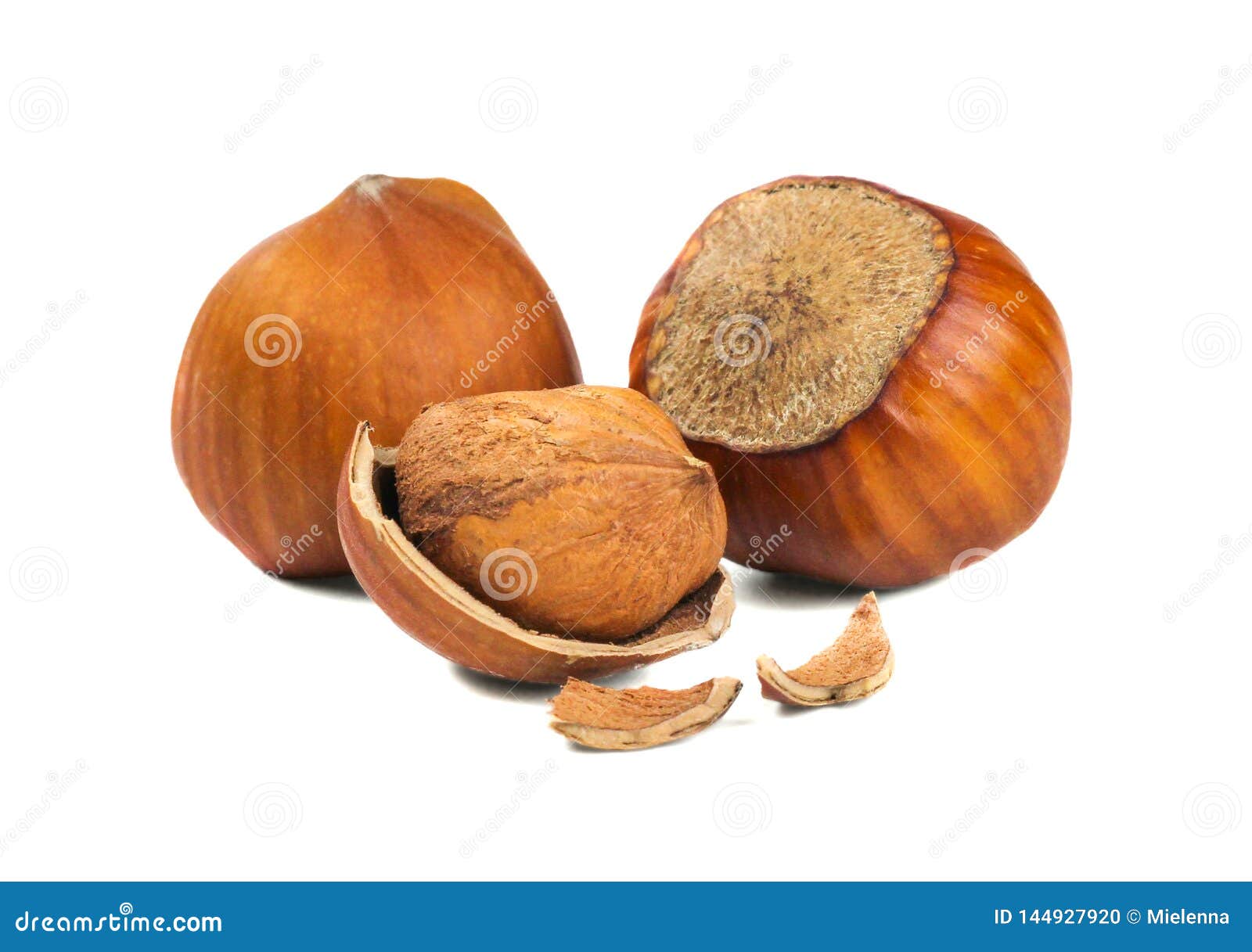 Three Hazelnuts and a Nutshell. Isolated Picture. Stock Photo - Image ...