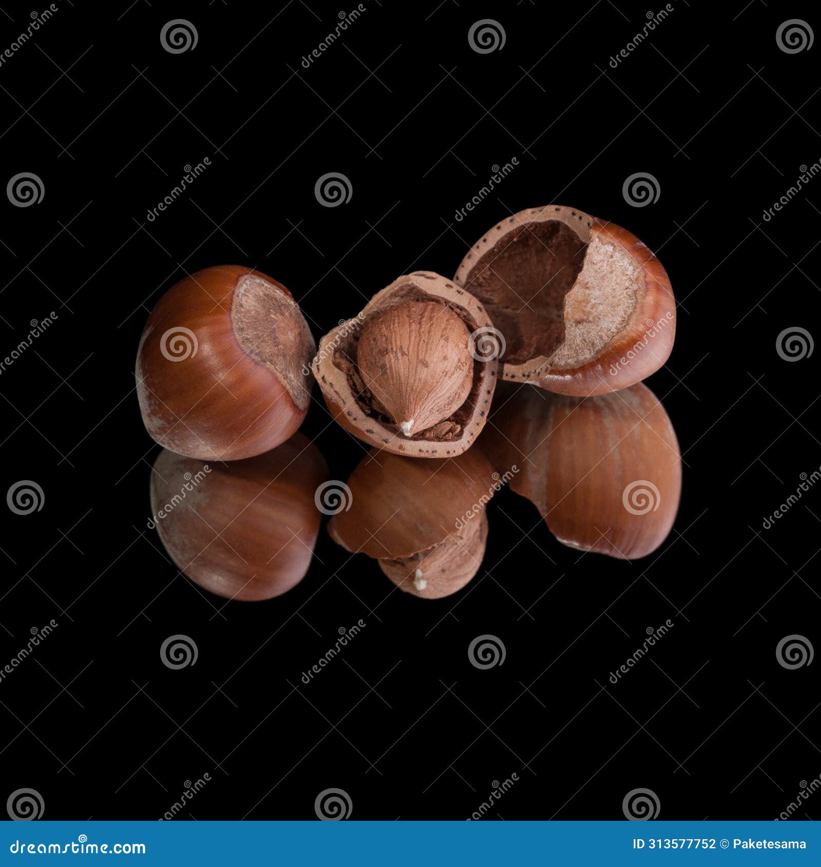 Three Hazelnuts, One Nut in Whole Shell and Two in in Cracked Shells ...