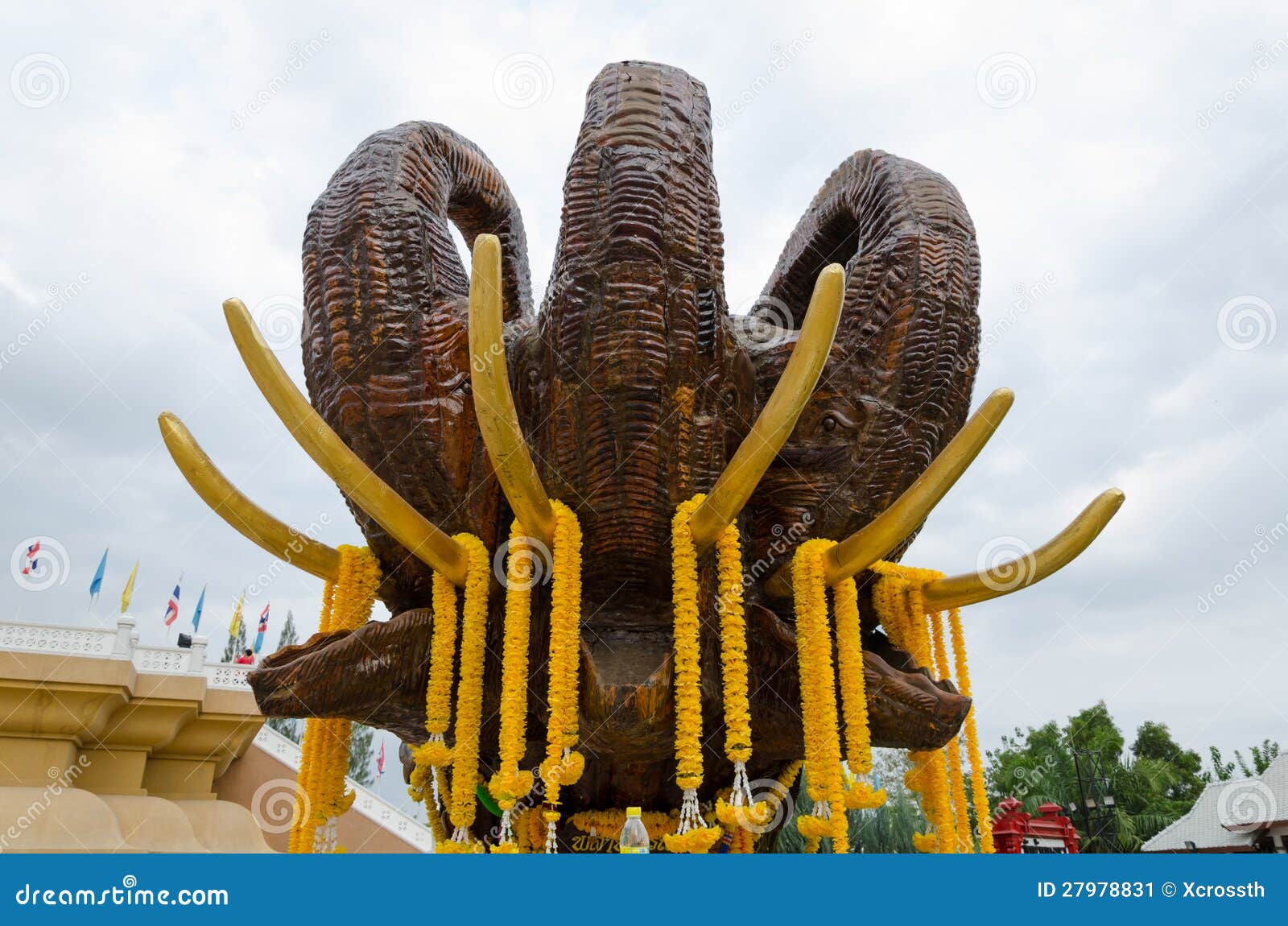 Three Head Cocunut Tree Royalty-Free Stock Photo | CartoonDealer.com ...