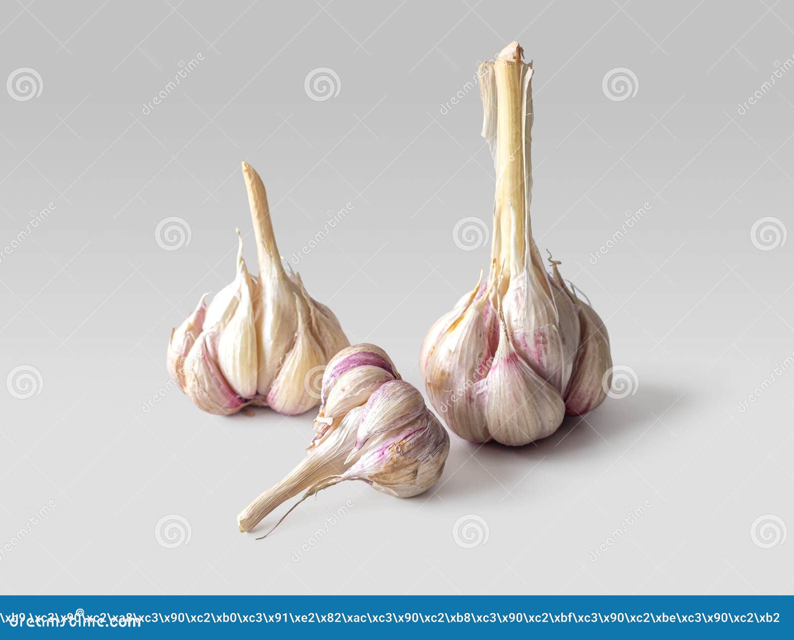 Three Heads of Garlic on a Light Background Stock Photo - Image of ...