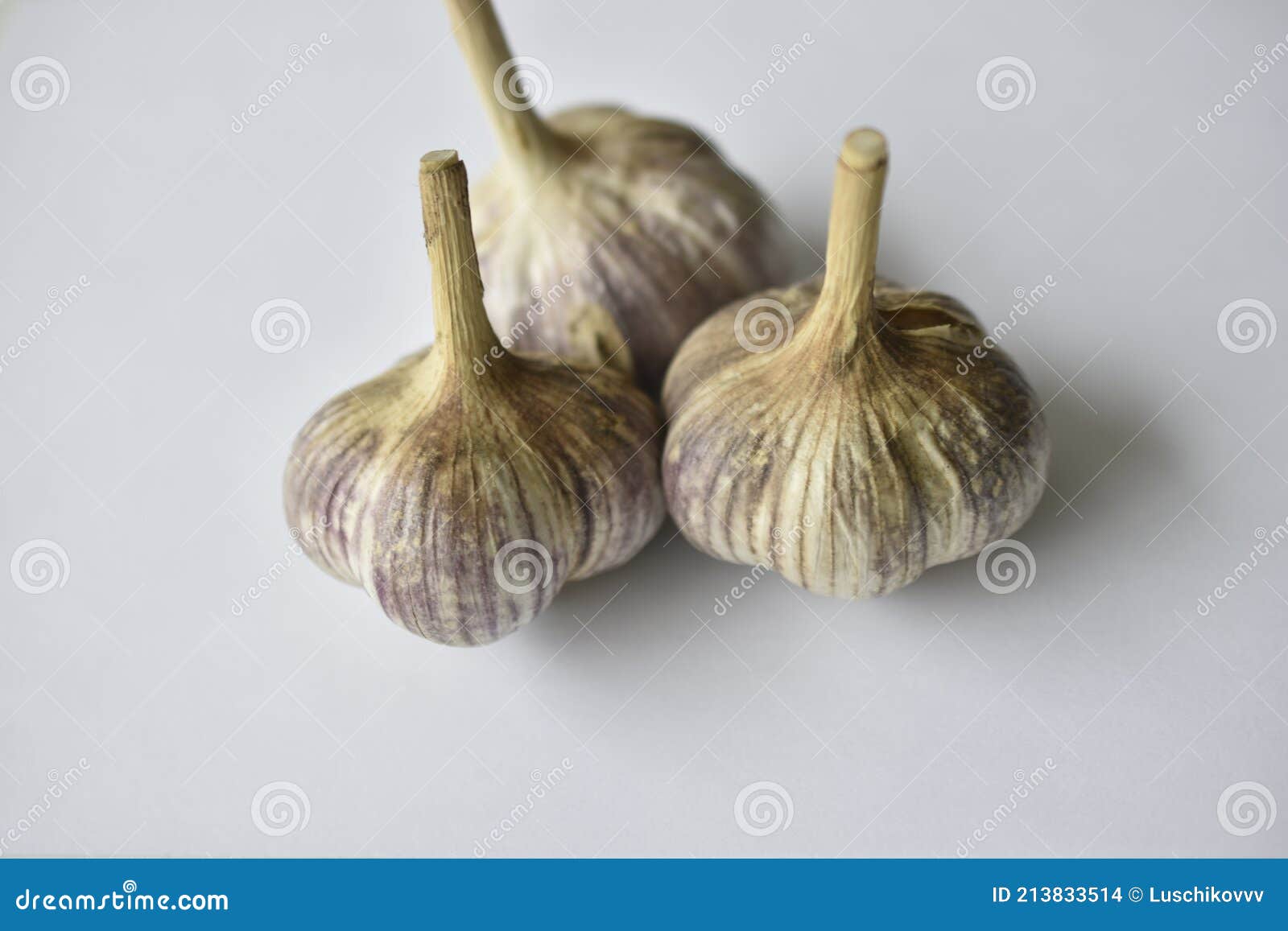 Three Heads of Garlic on a White Background Stock Photo - Image of ...