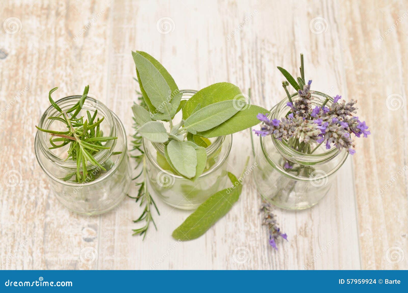 Three herbs stock photo. Image of sage, organic, recipe - 57959924