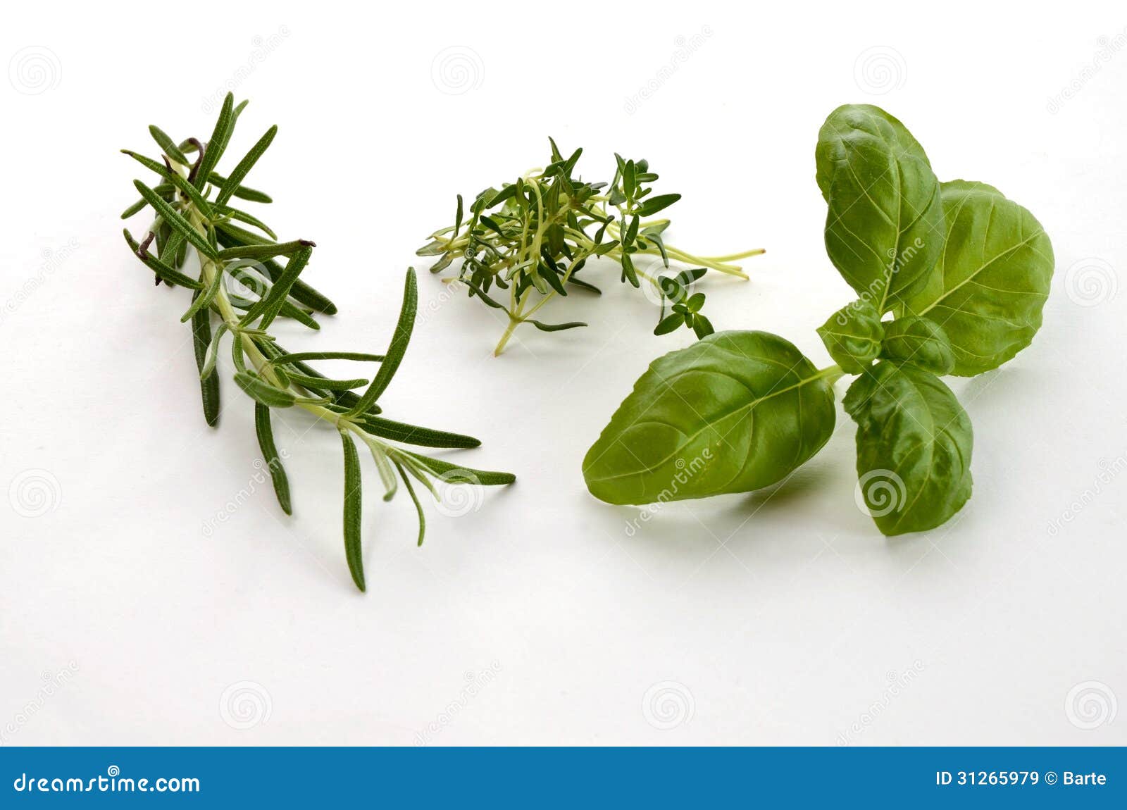 Three Herbs stock image. Image of thyme, cooking, spices - 31265979