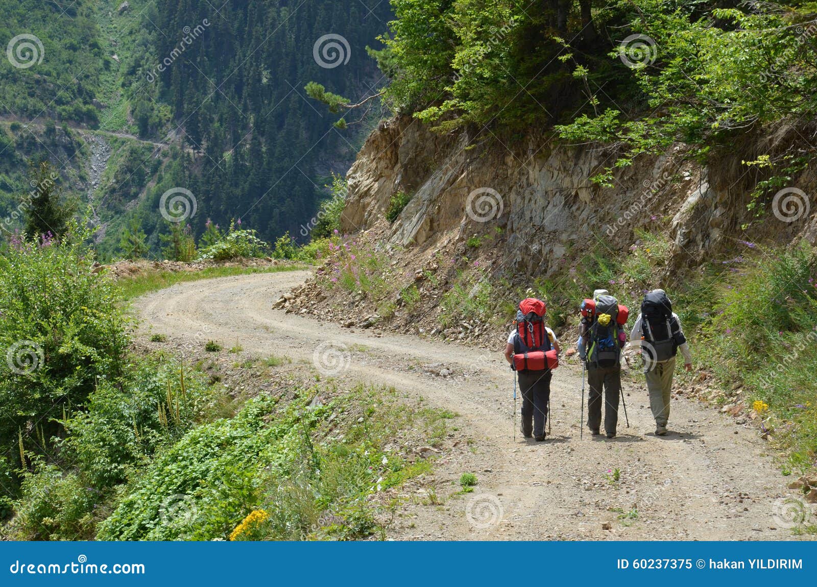 Three hikers stock image. Image of outdoors, greenery - 60237375