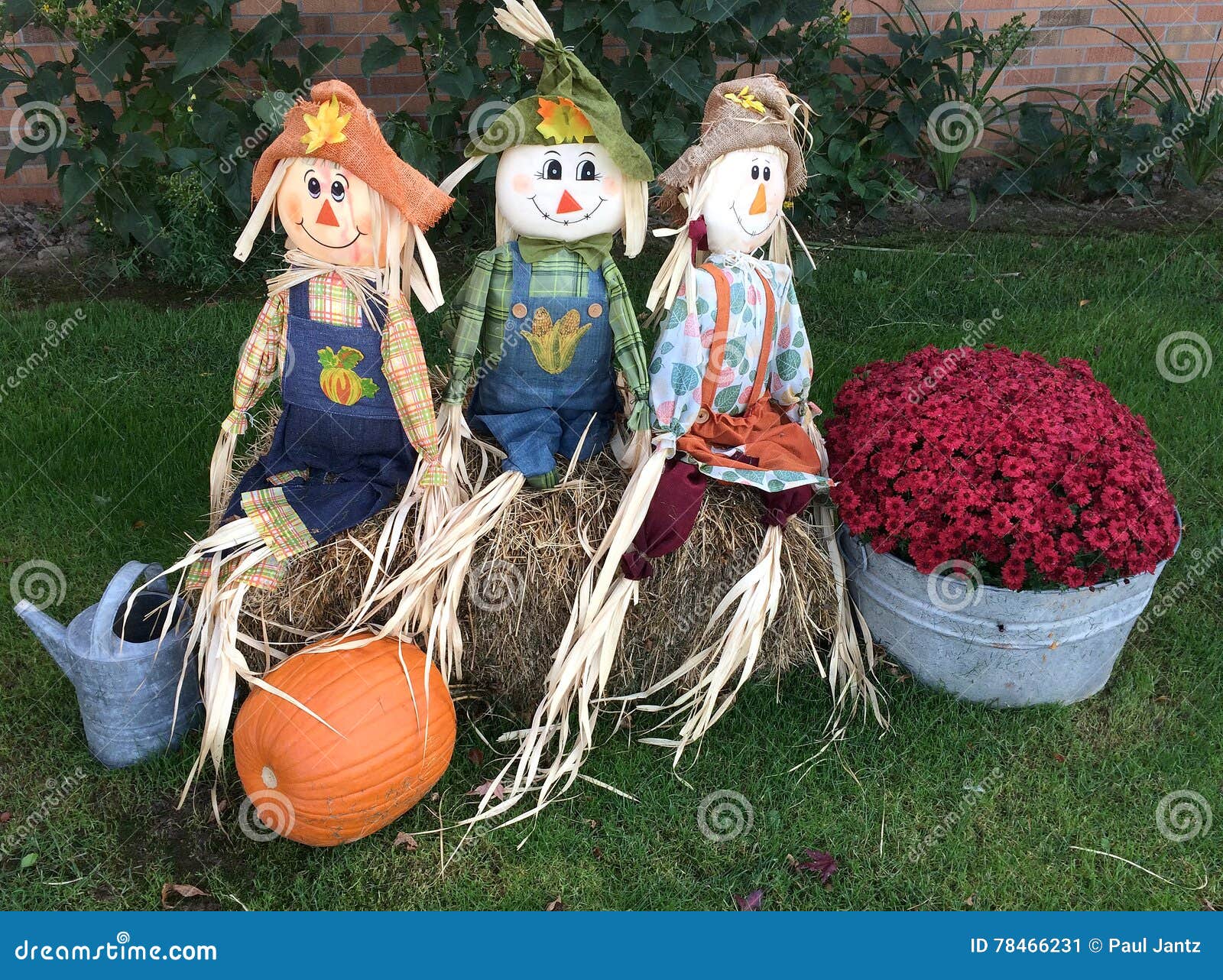 Three Holloween scarecrows stock image. Image of flowers - 78466231