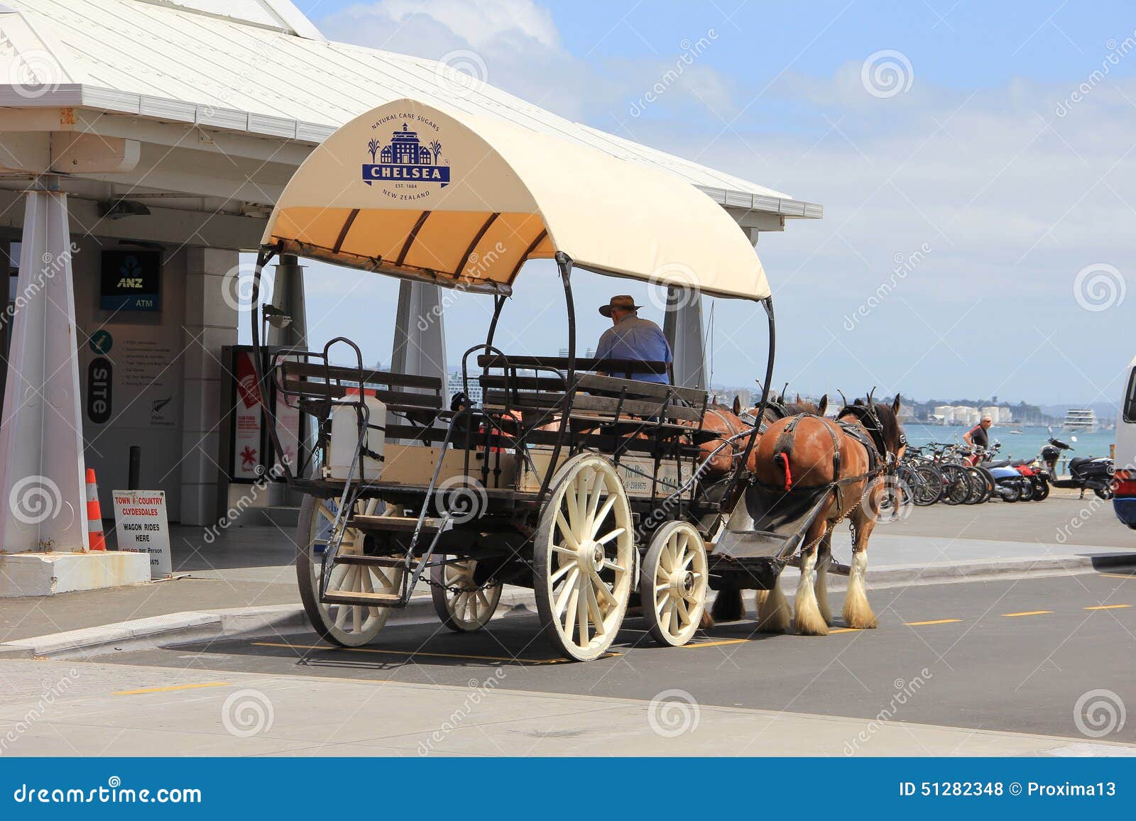 Three Horses with a Carriage and Coachman Editorial Stock Photo - Image ...