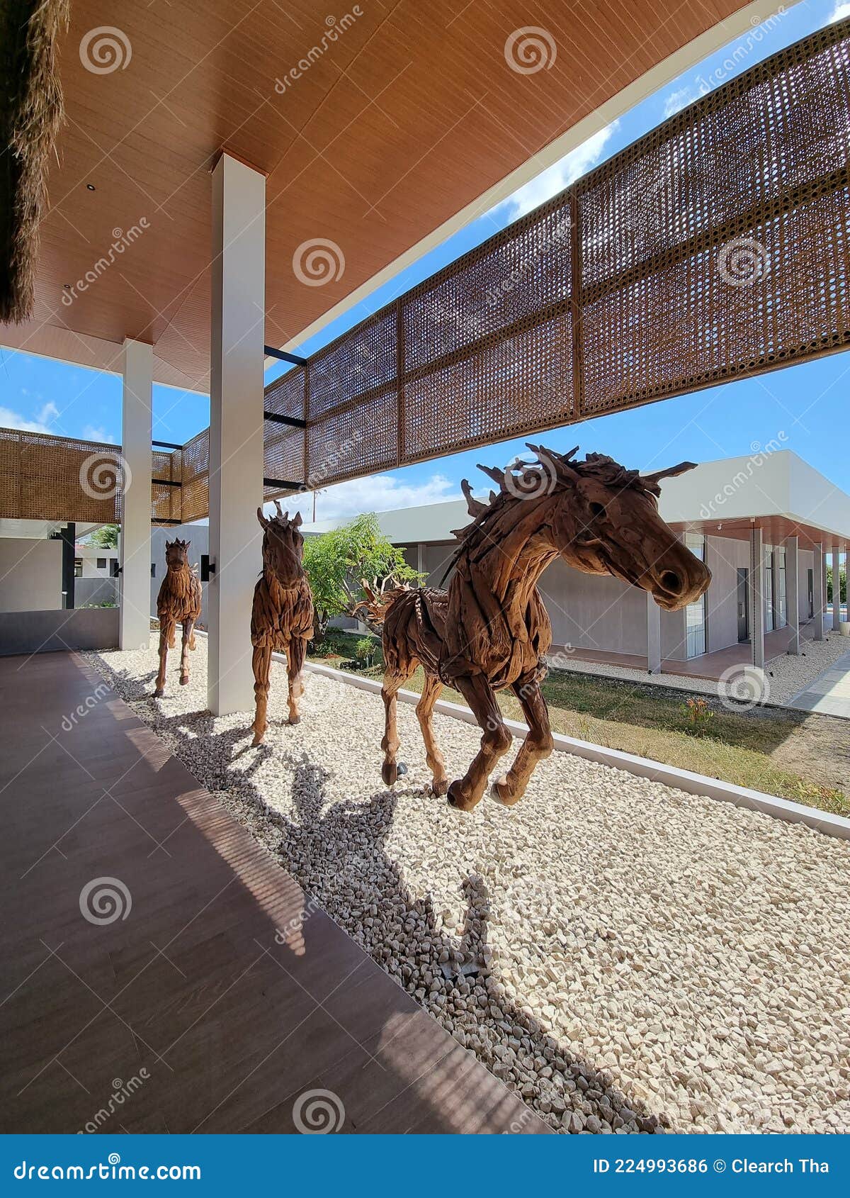 Three Horses at Kambaniru Hotel, Flores Editorial Photo - Image of ...