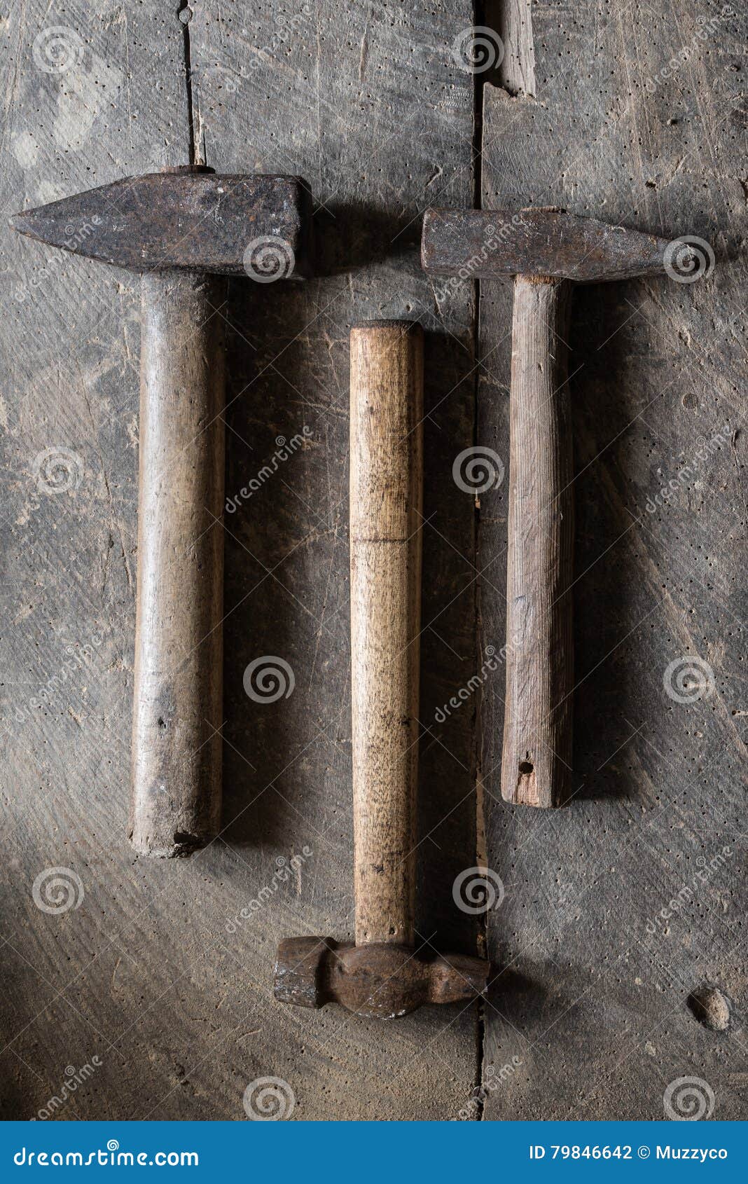 Three Hummers on the Table, Vertical. Stock Photo - Image of three ...