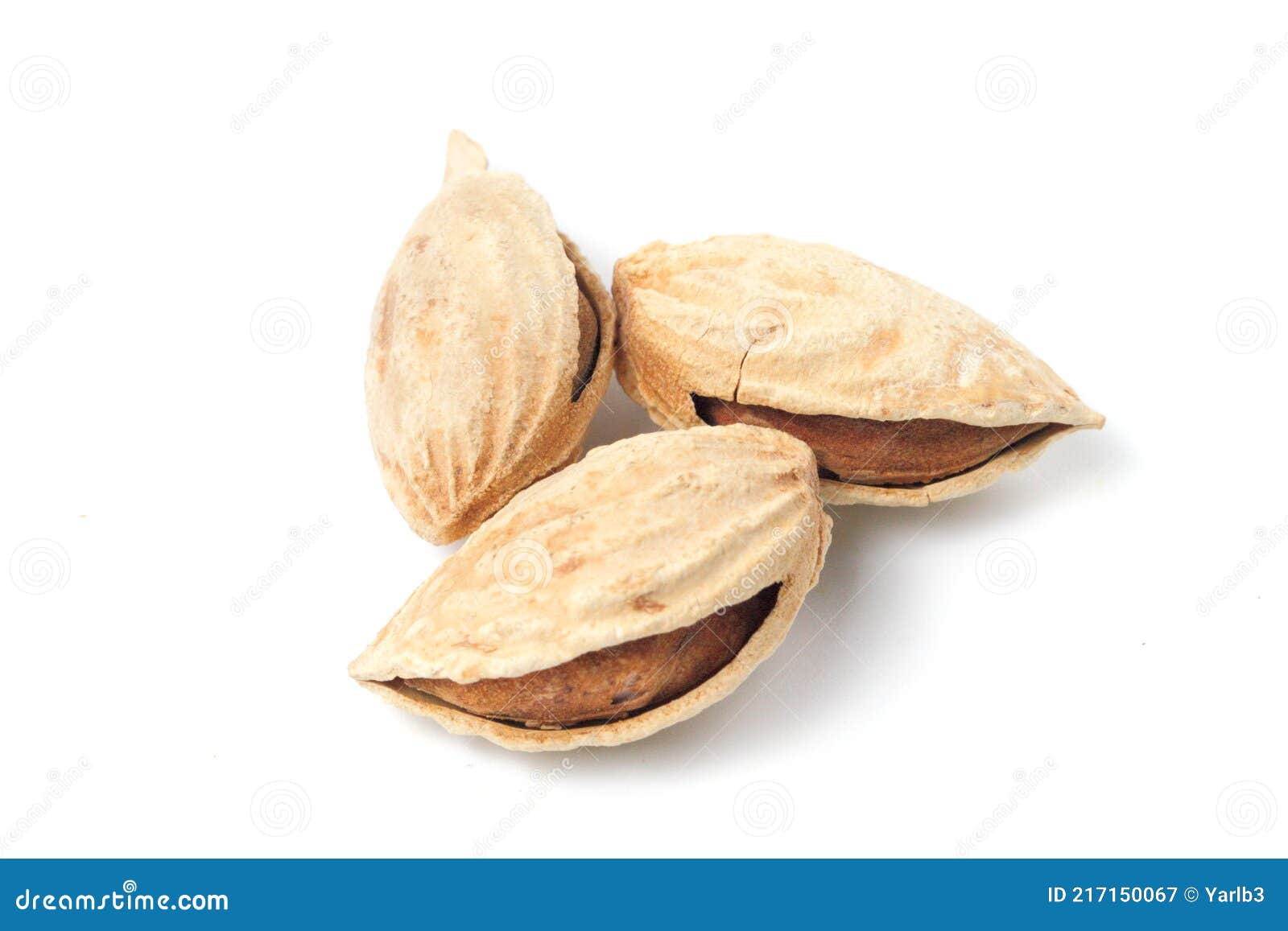 Three Inshell Almonds. Closeup on a White Background, Isolate Stock ...