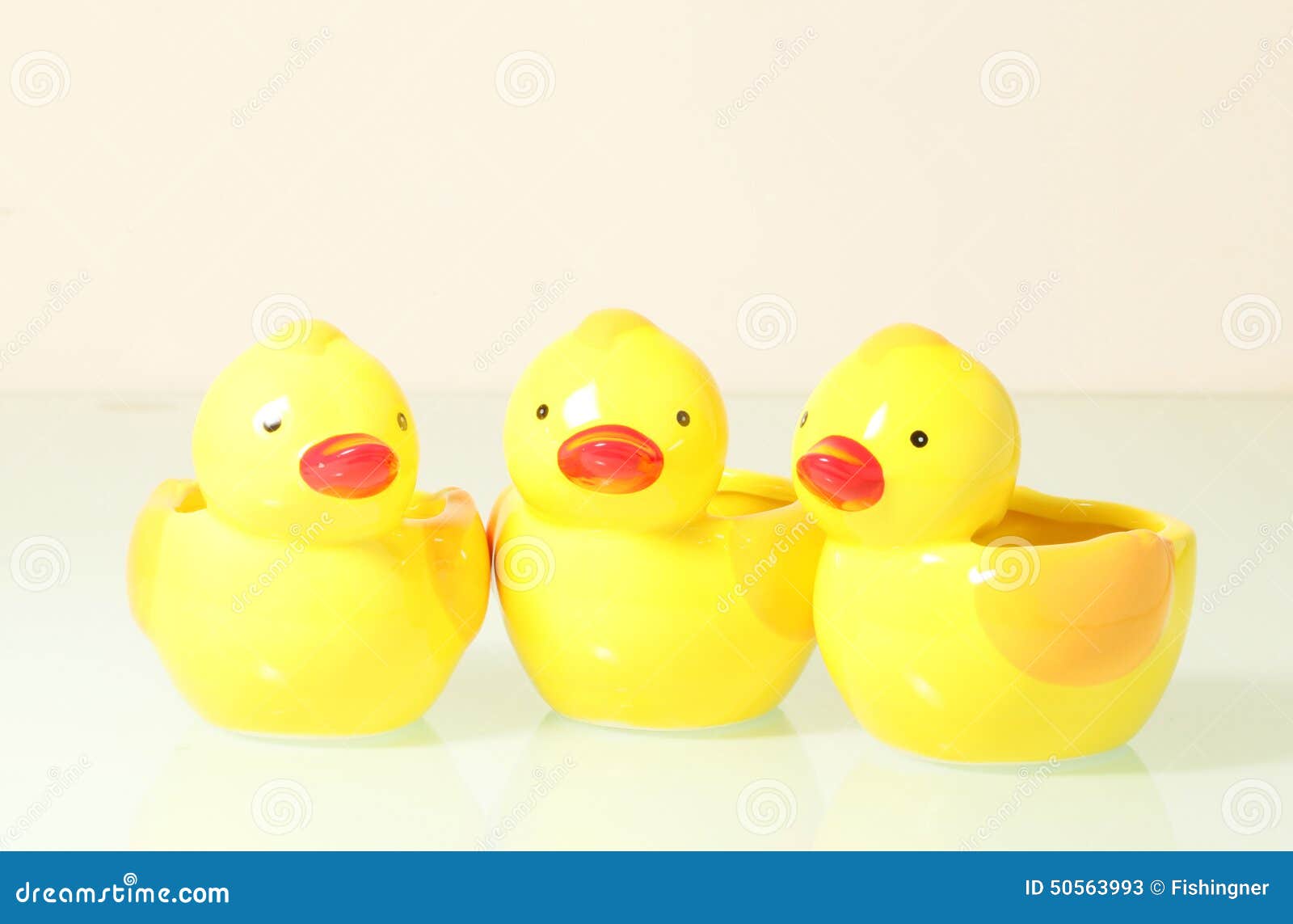 Three interesting ducks stock image. Image of nexus, ducks - 50563993