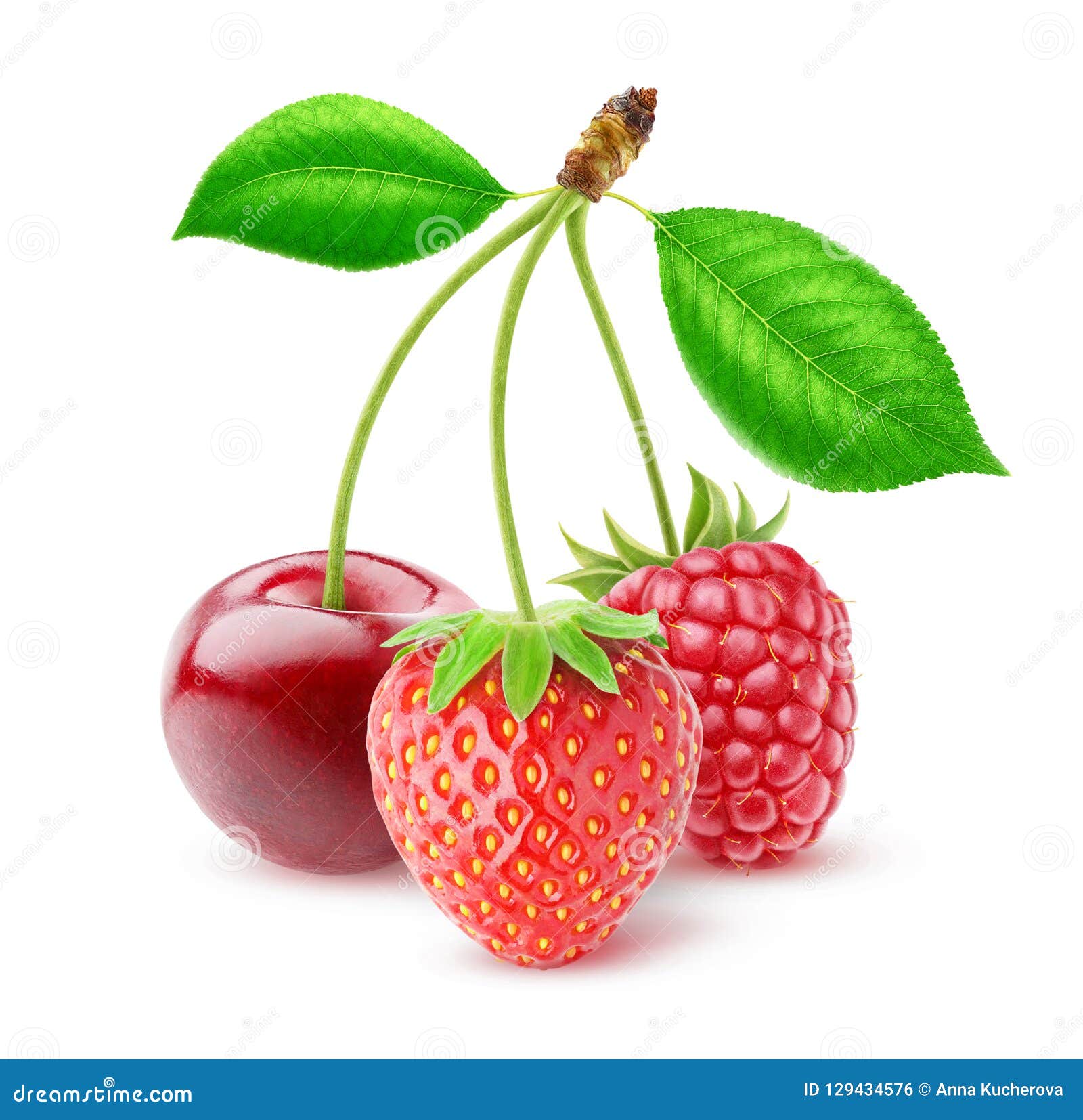 Three Isolated Katana`s On The Stand Royalty-Free Stock Photography ...