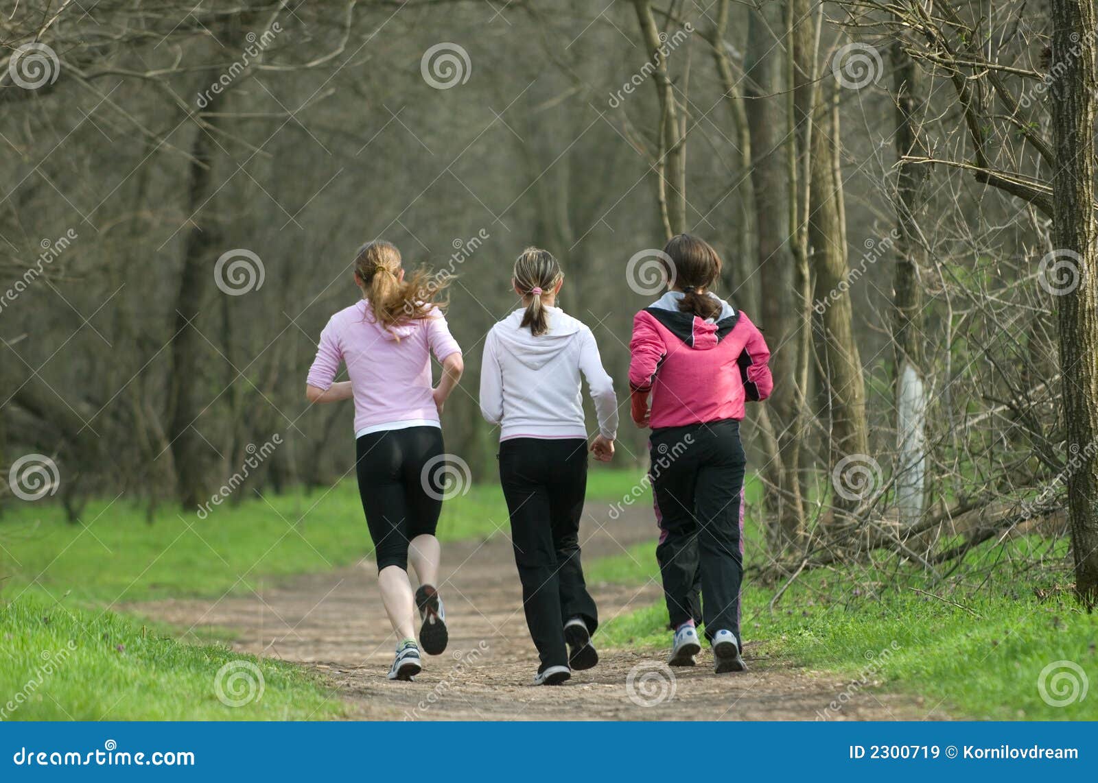 Three joggers stock image. Image of lane, outdoors, health - 2300719