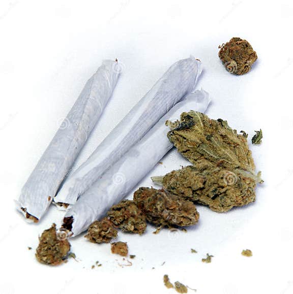 Three joints and pot buds stock photo. Image of white - 56314876
