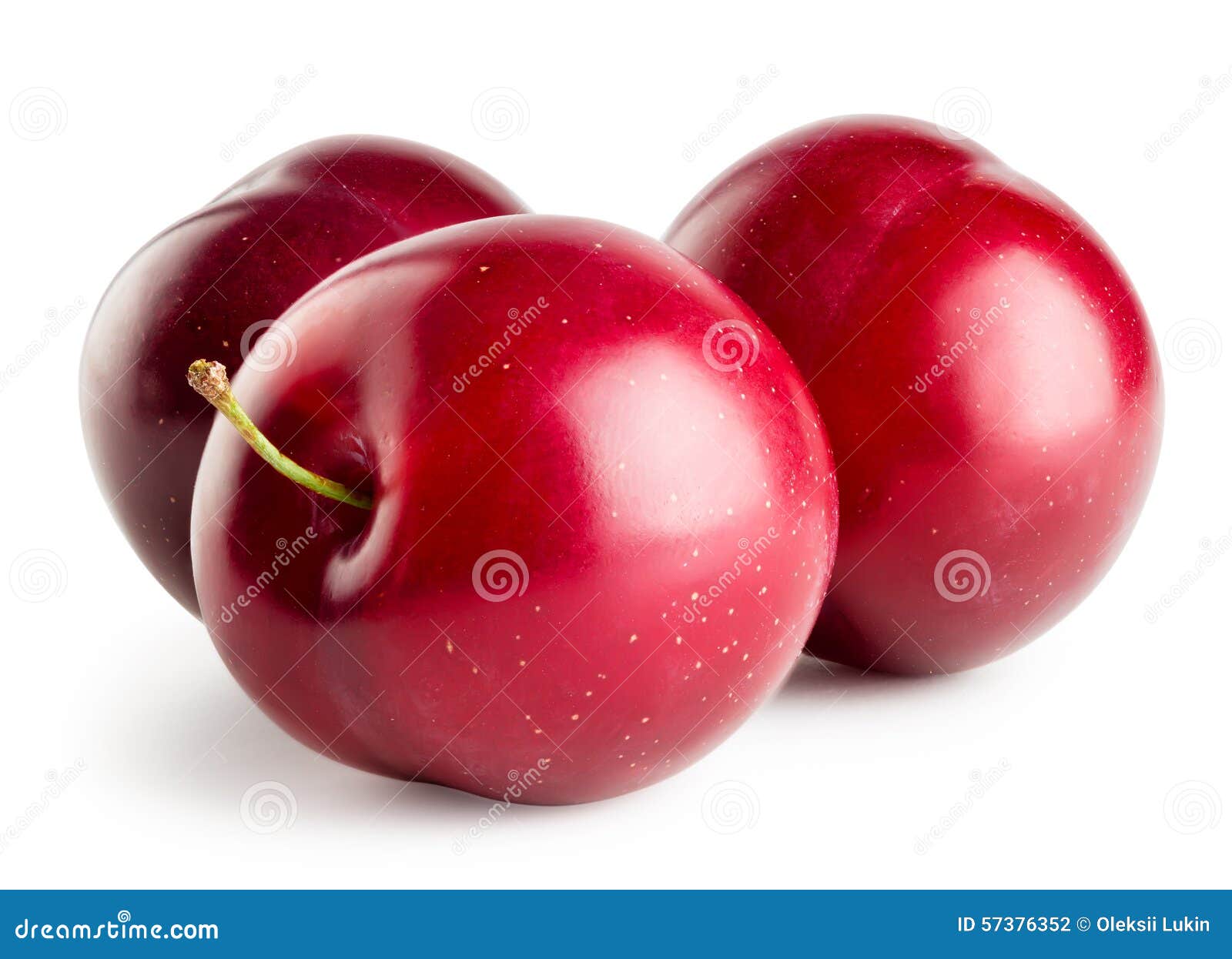 Three juicy plum stock photo. Image of food, life, healthy - 57376352