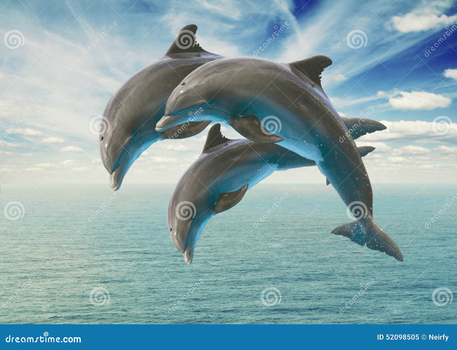 Three jumping dolphins stock image. Image of jump, bottlenose - 52098505