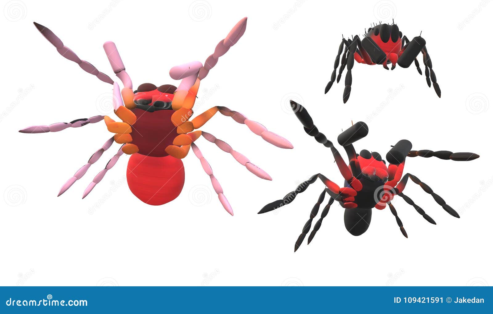 Three Jumping Spiders on White Stock Illustration - Illustration of ...