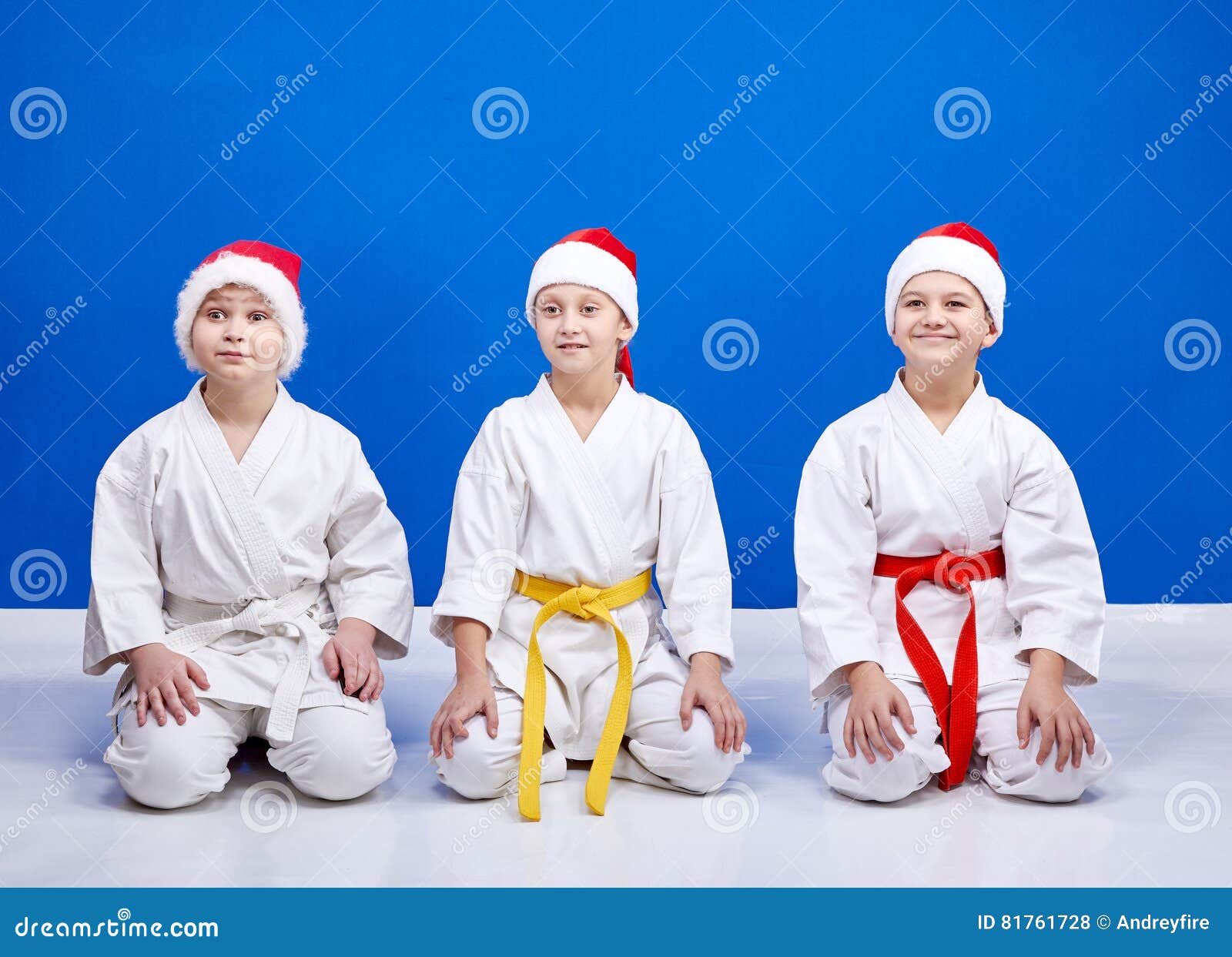 Three Karateka in Caps of Santa Claus Sitting in a Karate Pose Stock ...