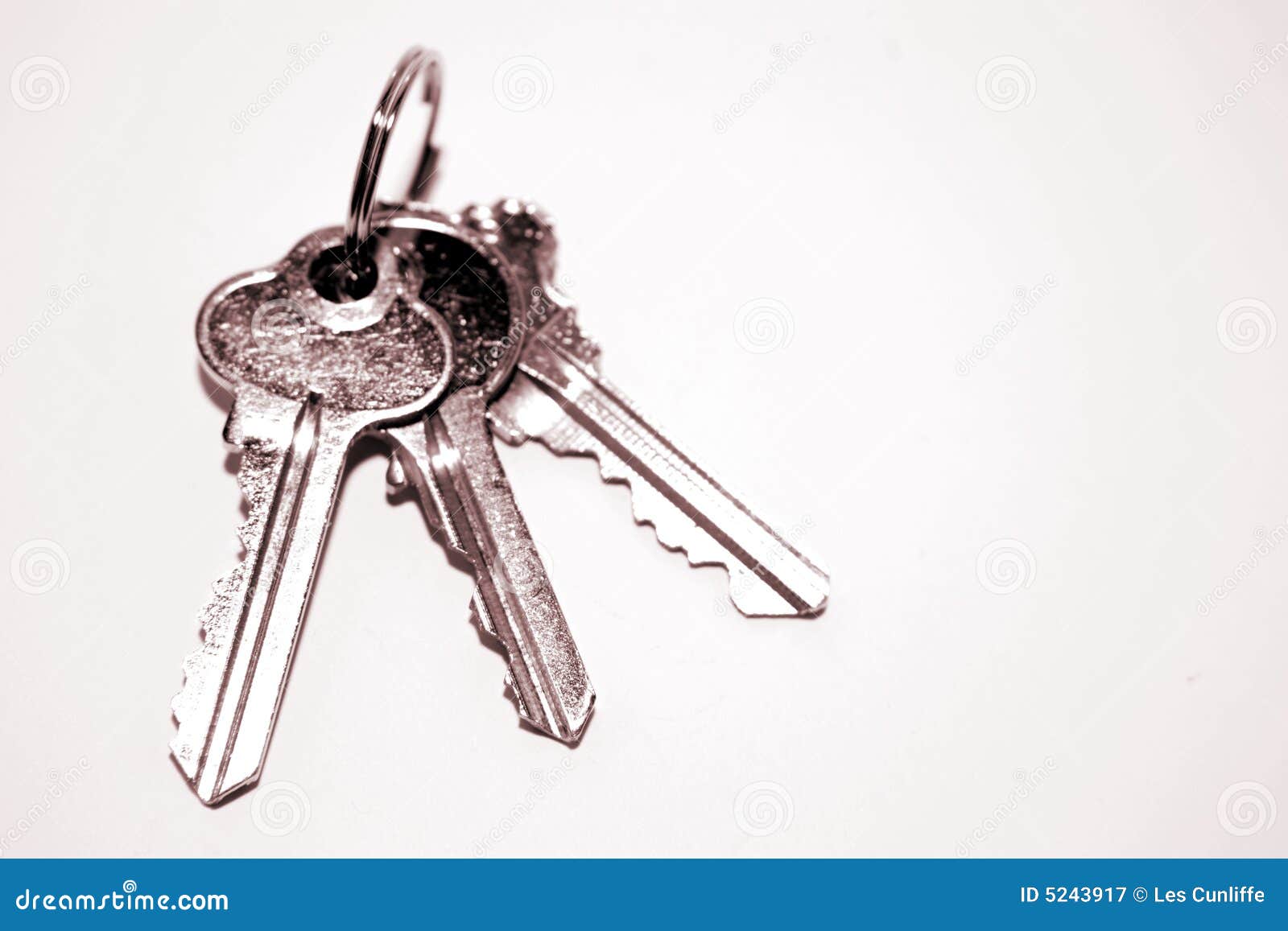 Three keys stock image. Image of mistrust, keyring, realty - 5243917