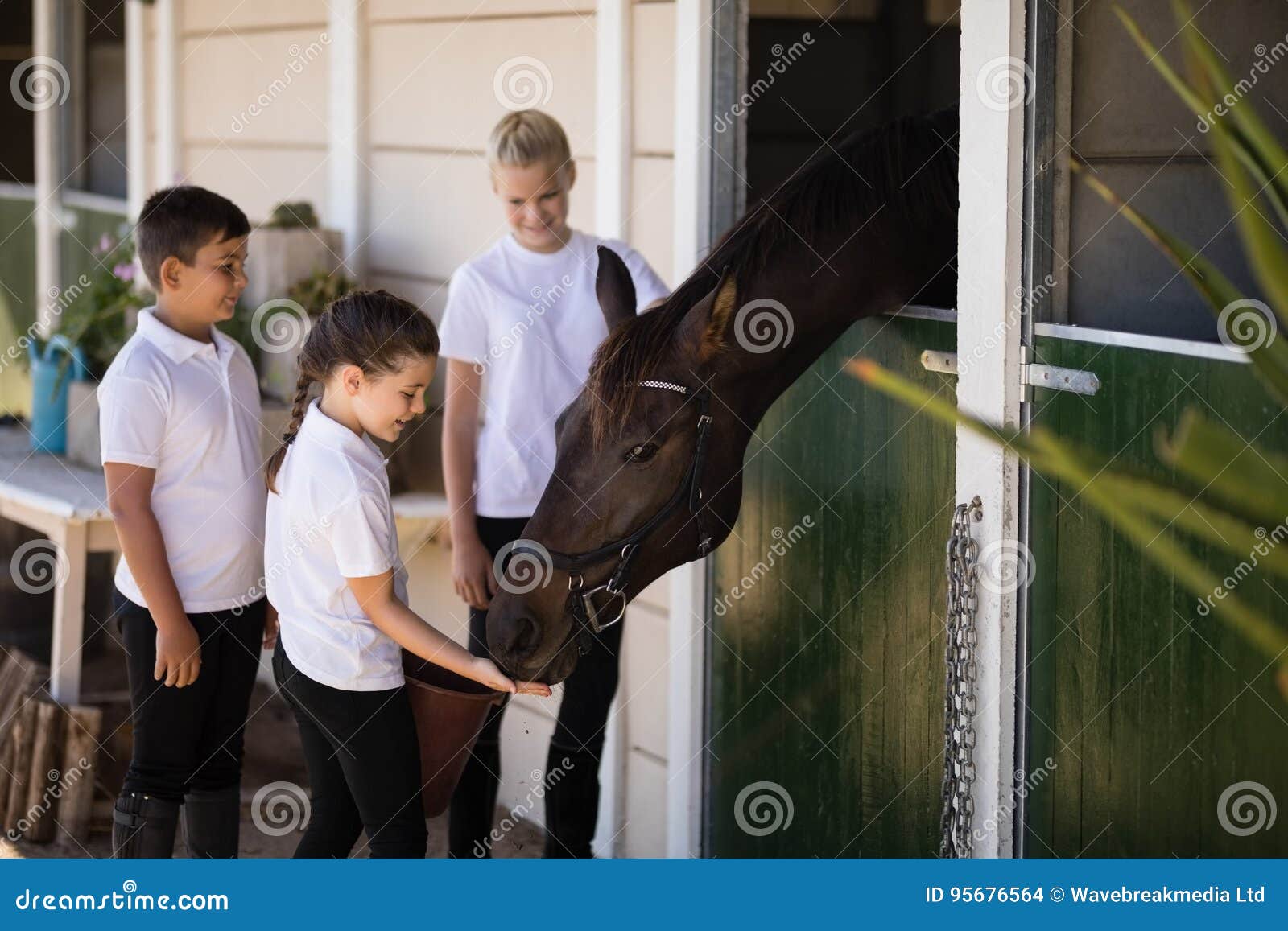 Three Kids Feeding the Horse in Stable Stock Photo - Image of girl ...