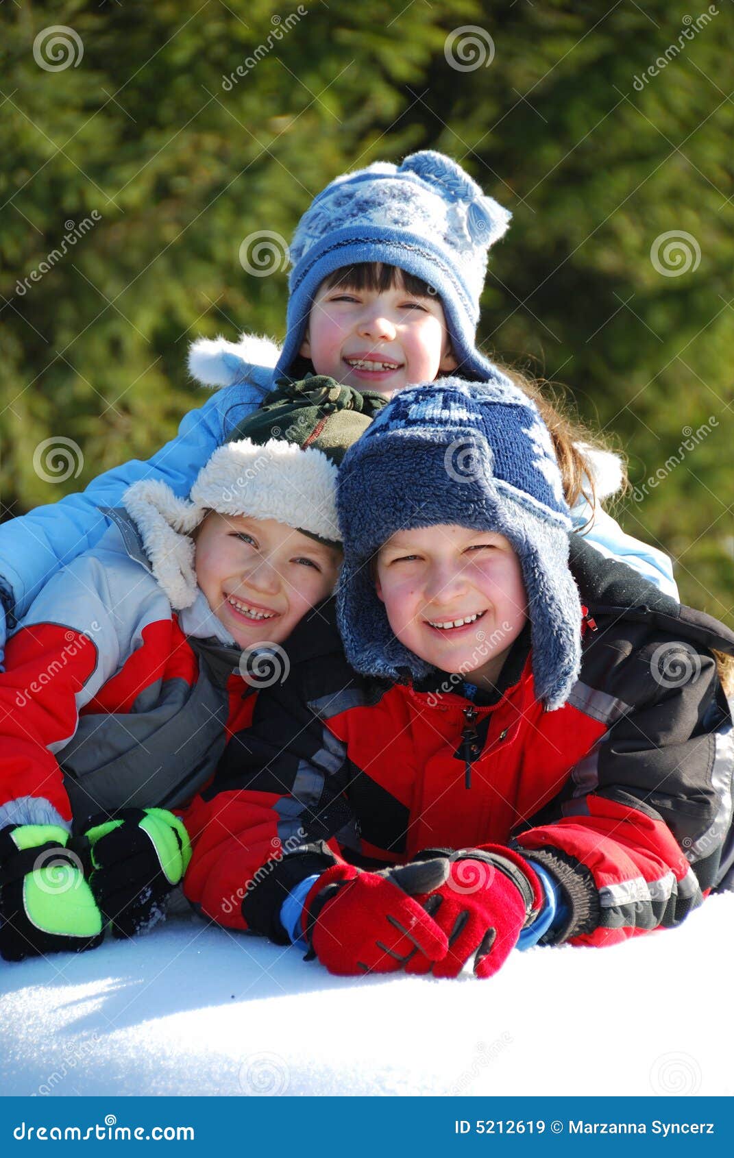 Three Kids in the Snow stock image. Image of family, siblings - 5212619